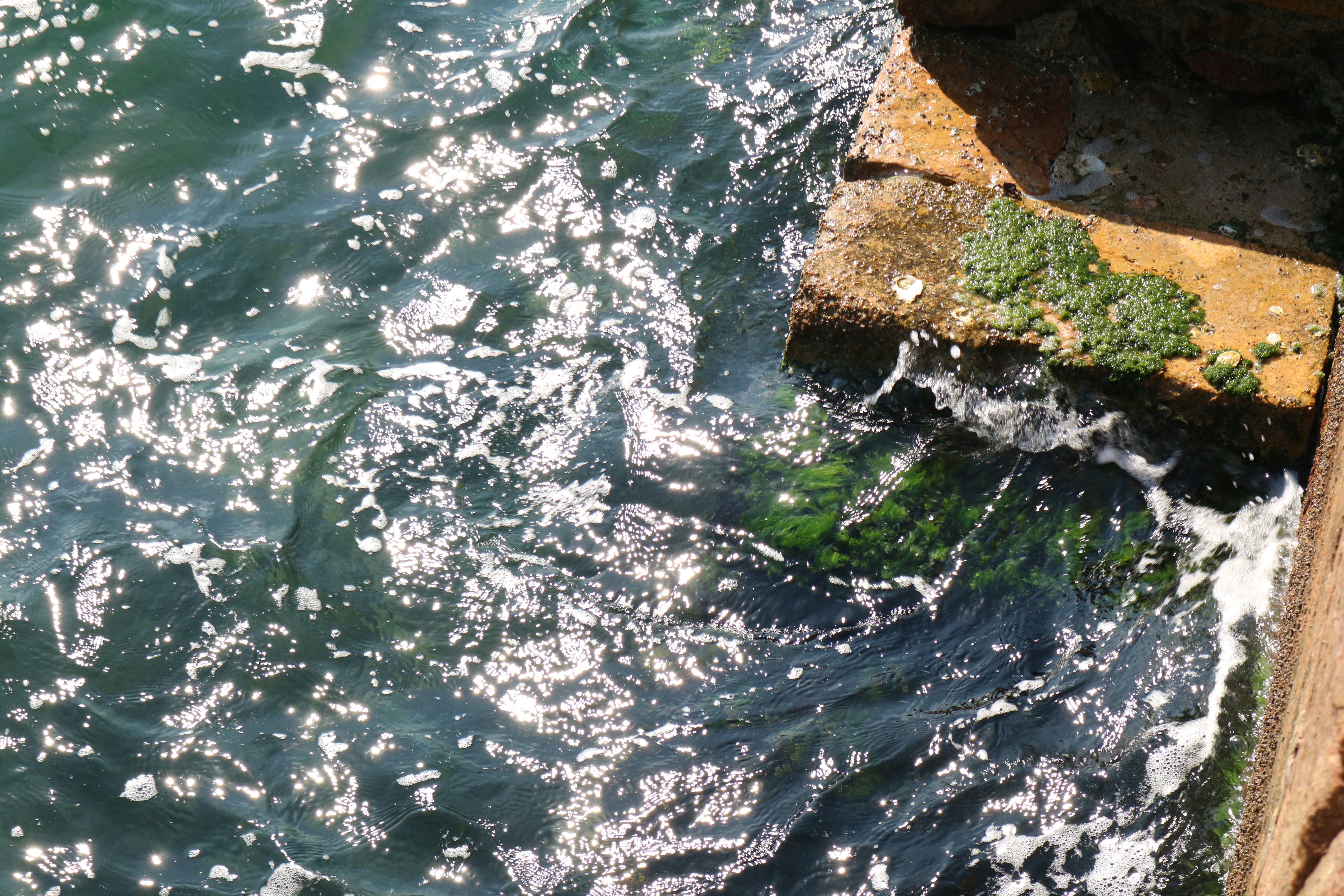 Whispers of the Tidal Edge