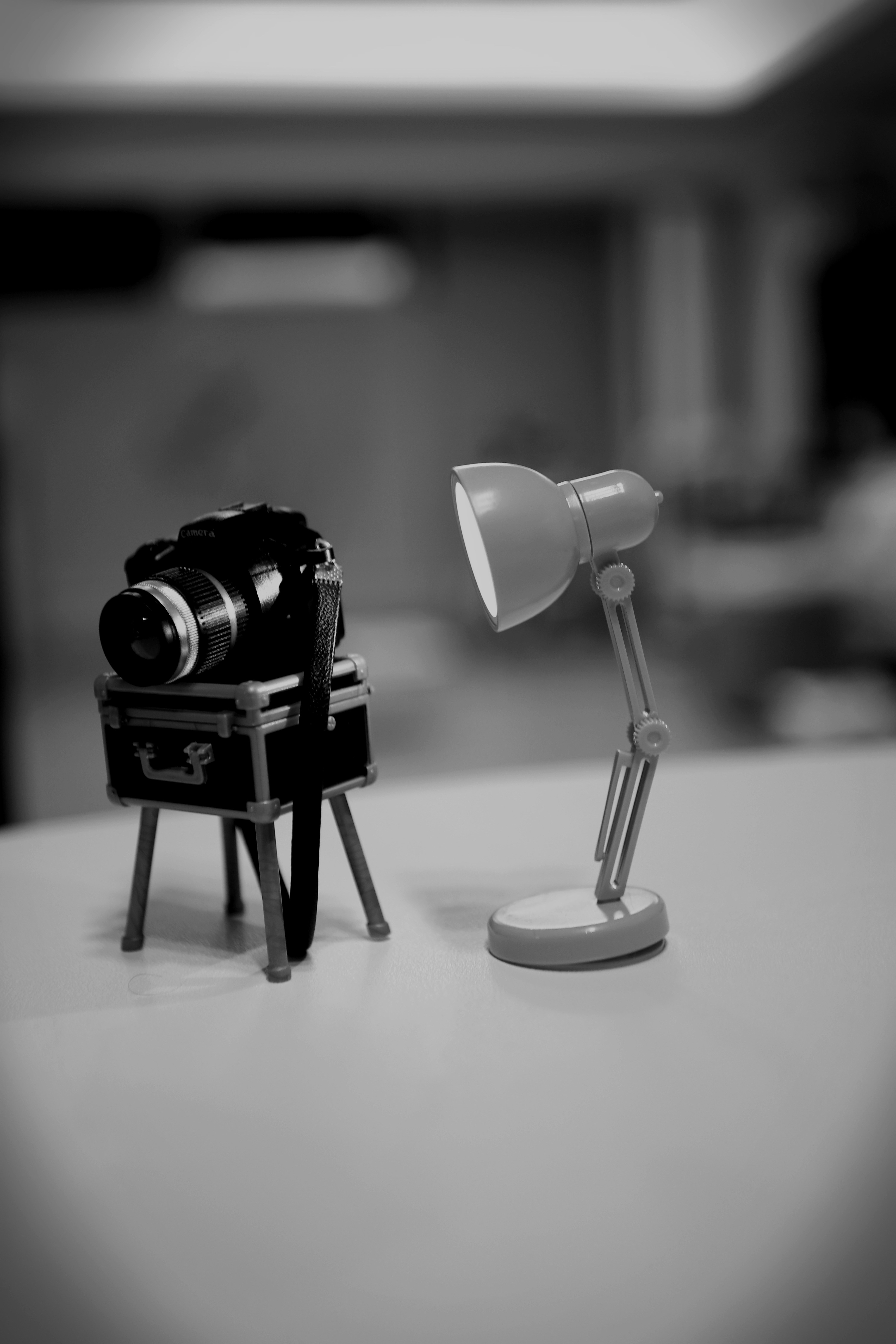 Illuminated Perspectives: A Still Life of Creativity