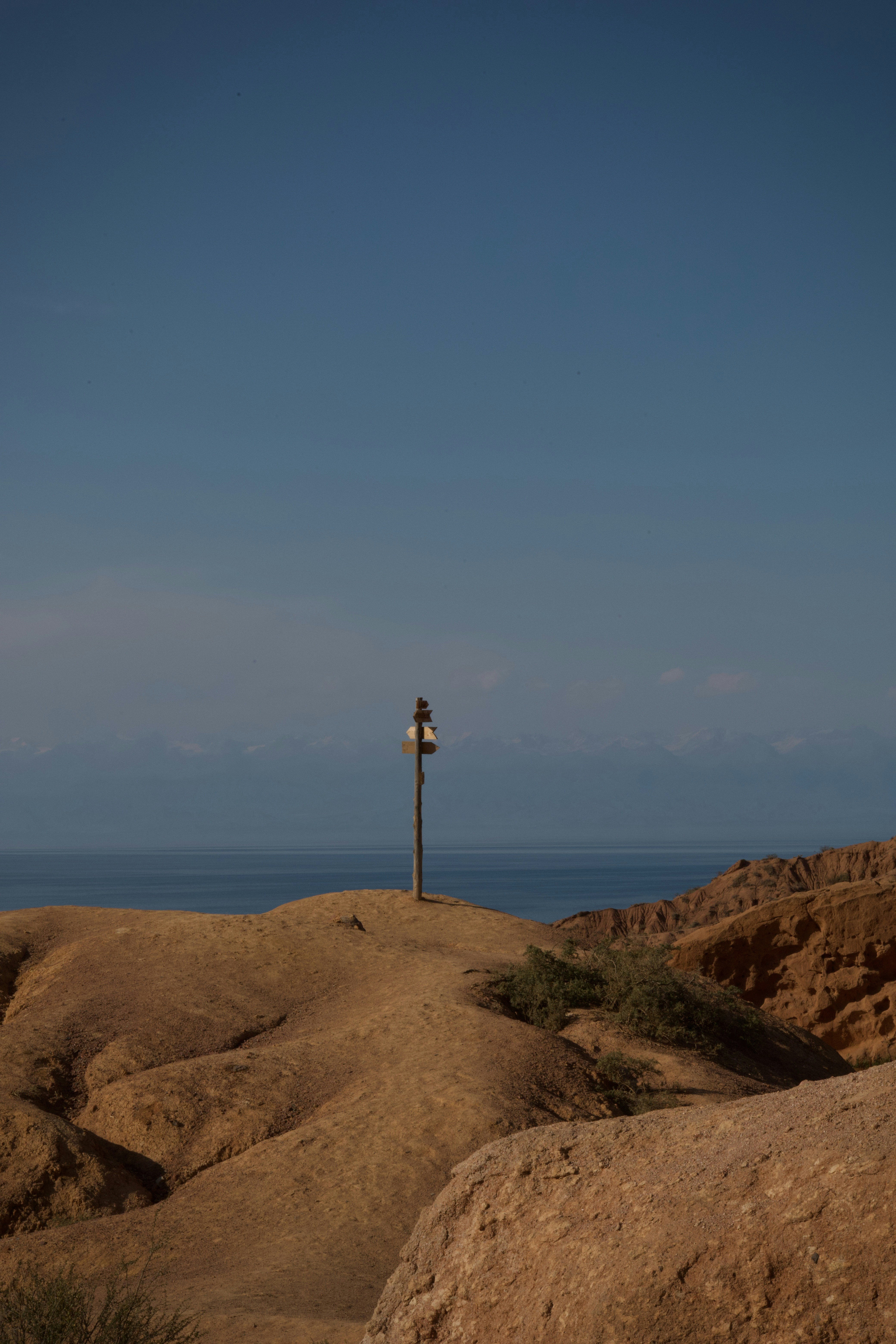 Lone Sentinel Overlooking Tranquil Waters