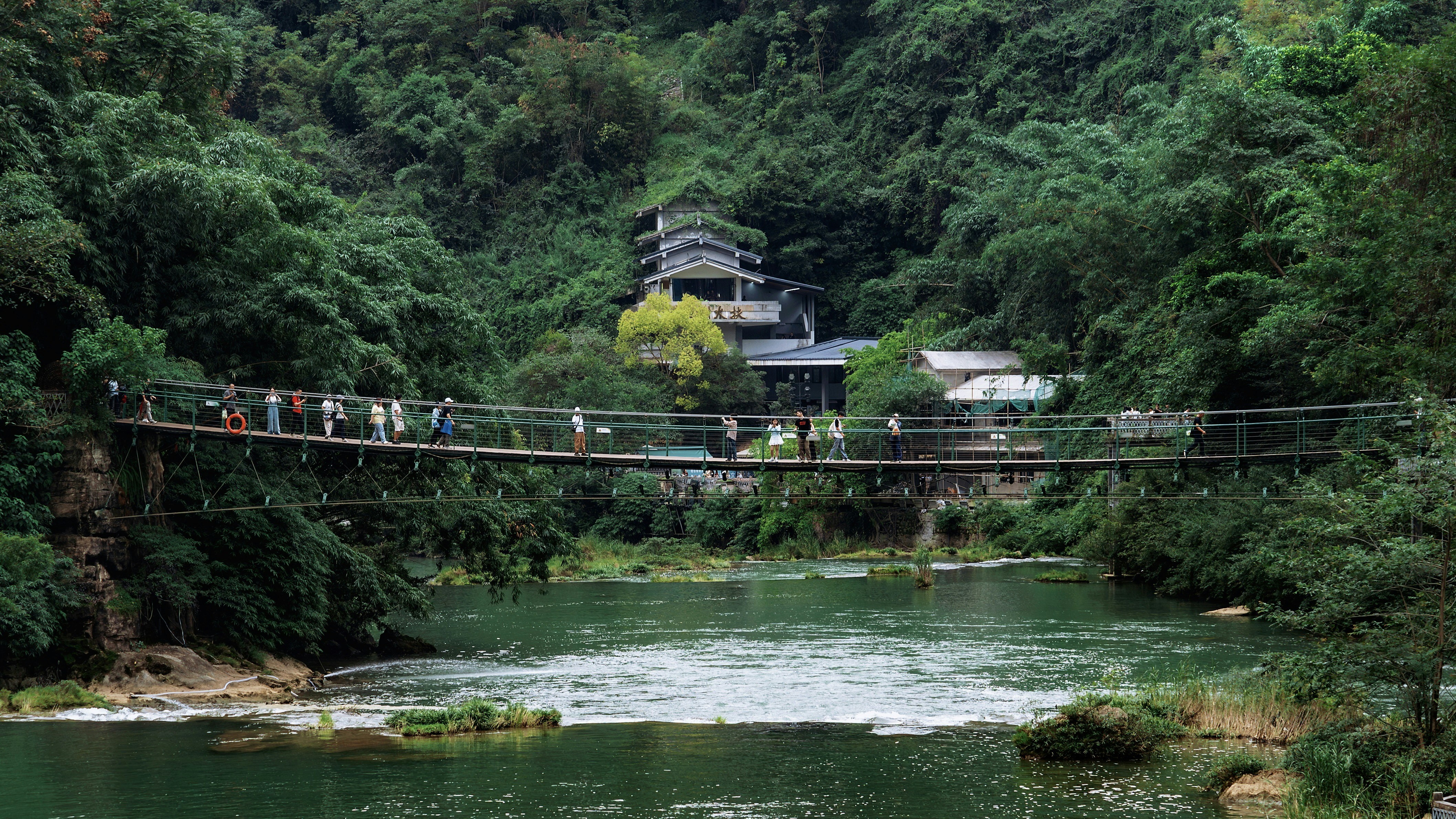 Crossing the Canopy: A Journey Through Nature's Embrace