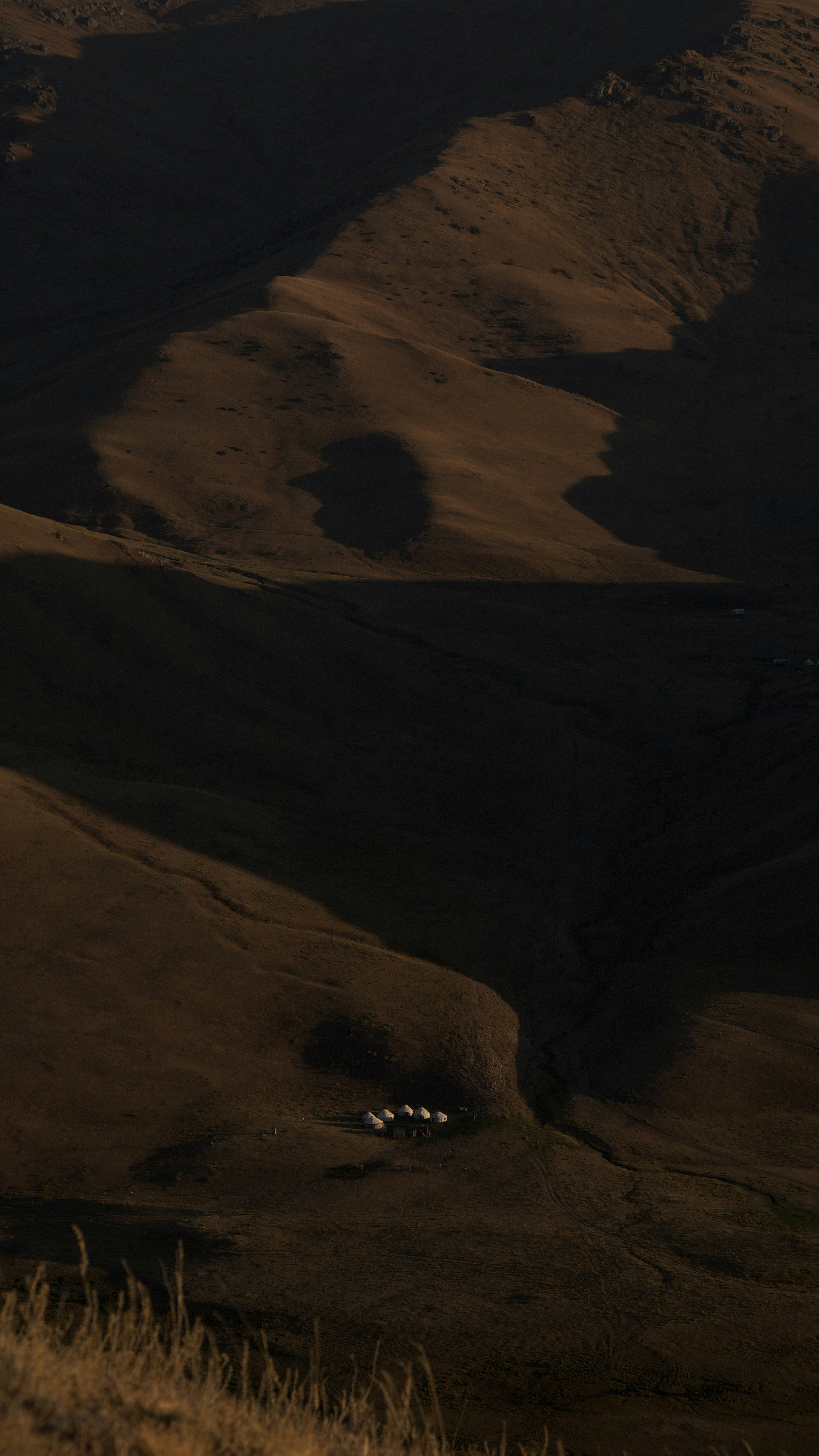 Whispers of the Highland Shadows