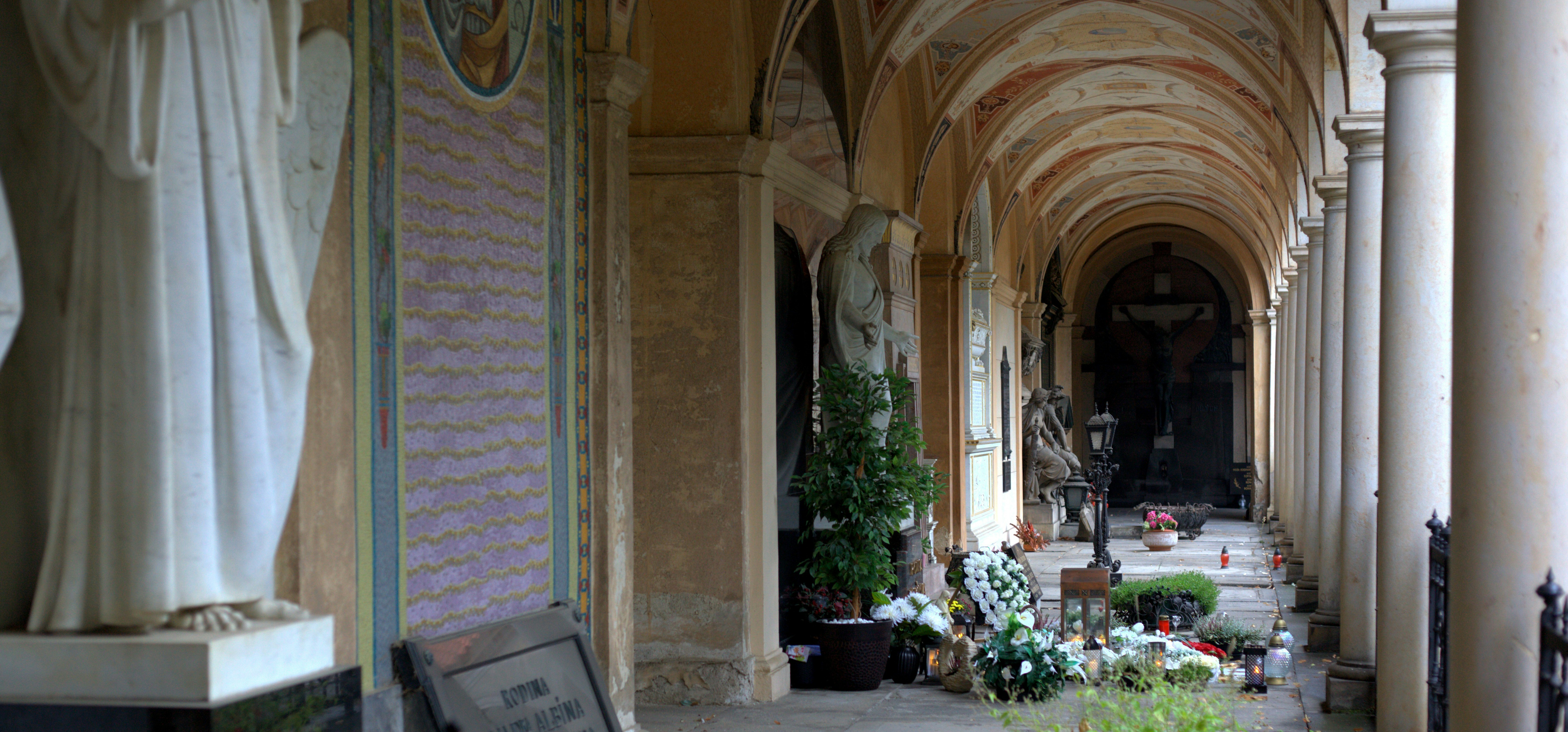 Whispers of Time: A Serene Passage Through Memory