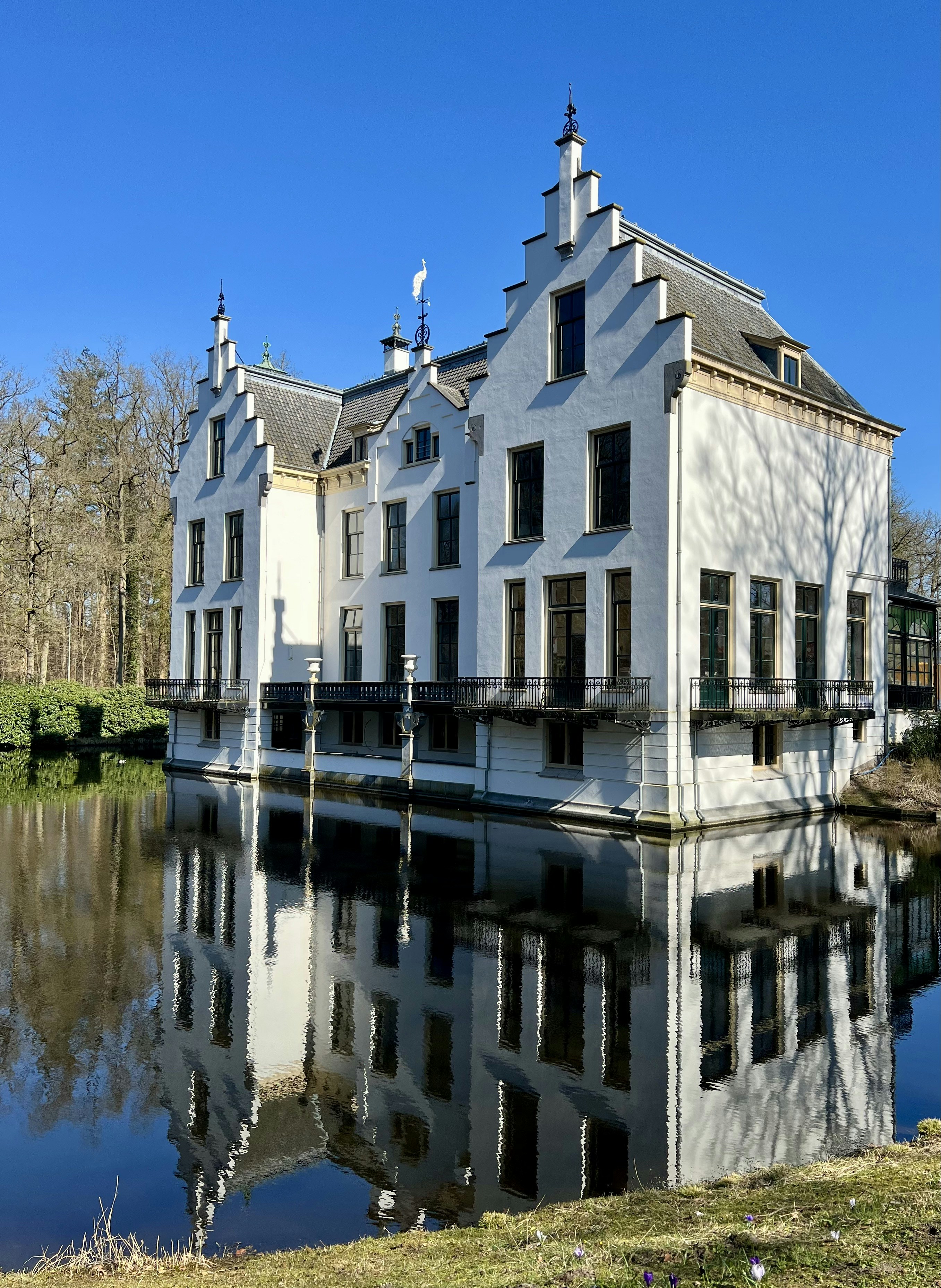 Reflections of Elegance: A Historic Estate