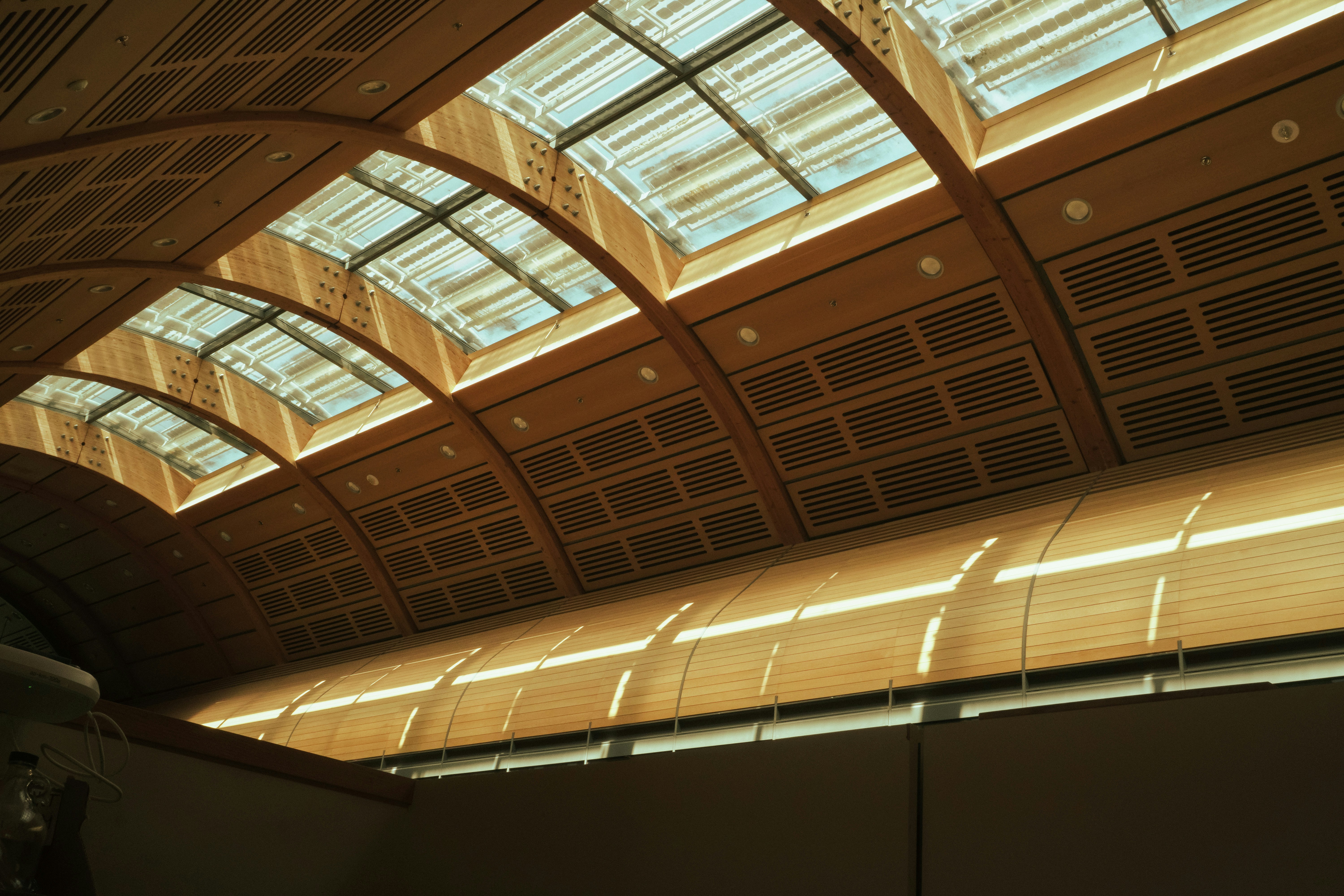Wood paneling and skylights in a modern building