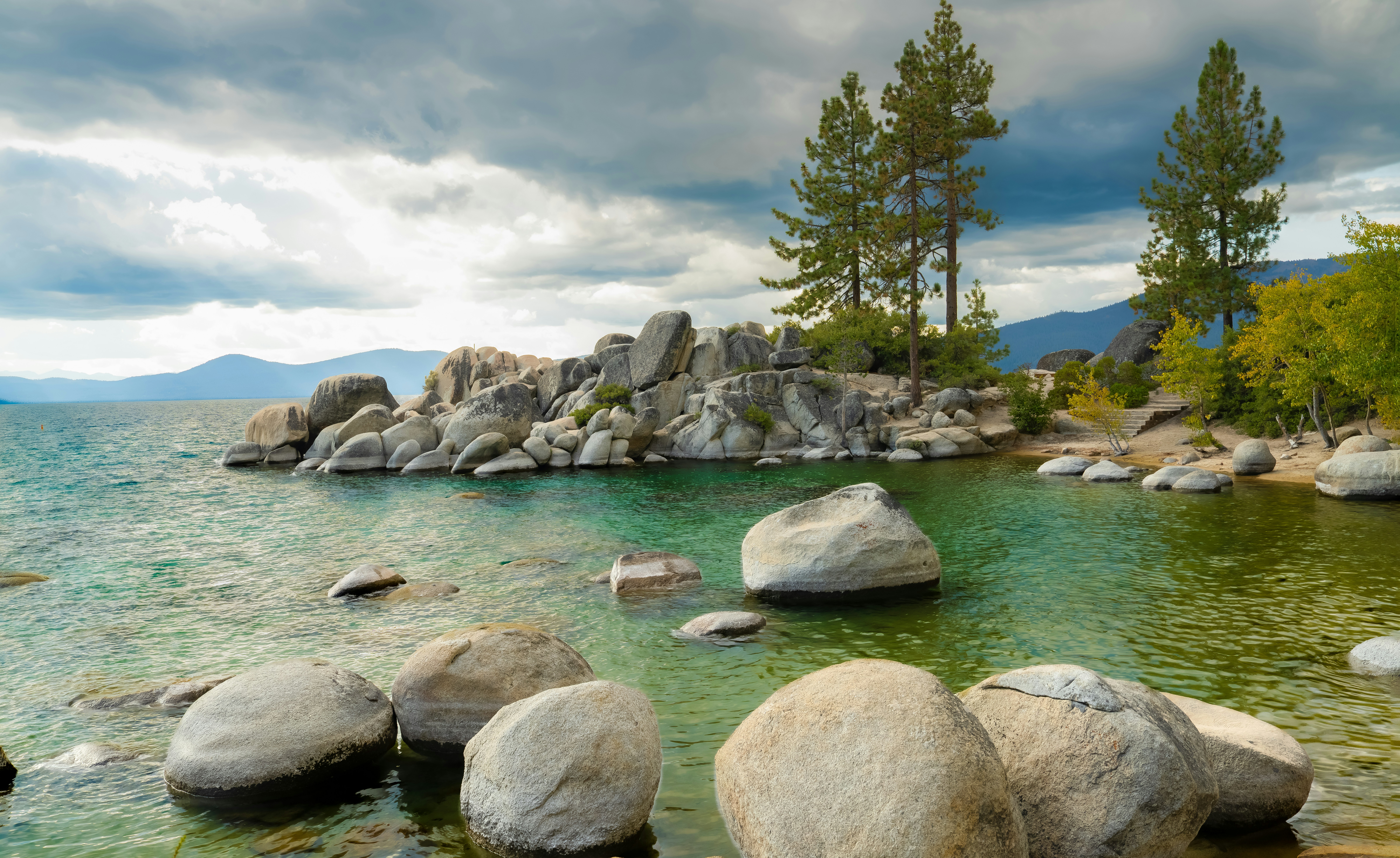 Whispers of Nature at Lake's Edge