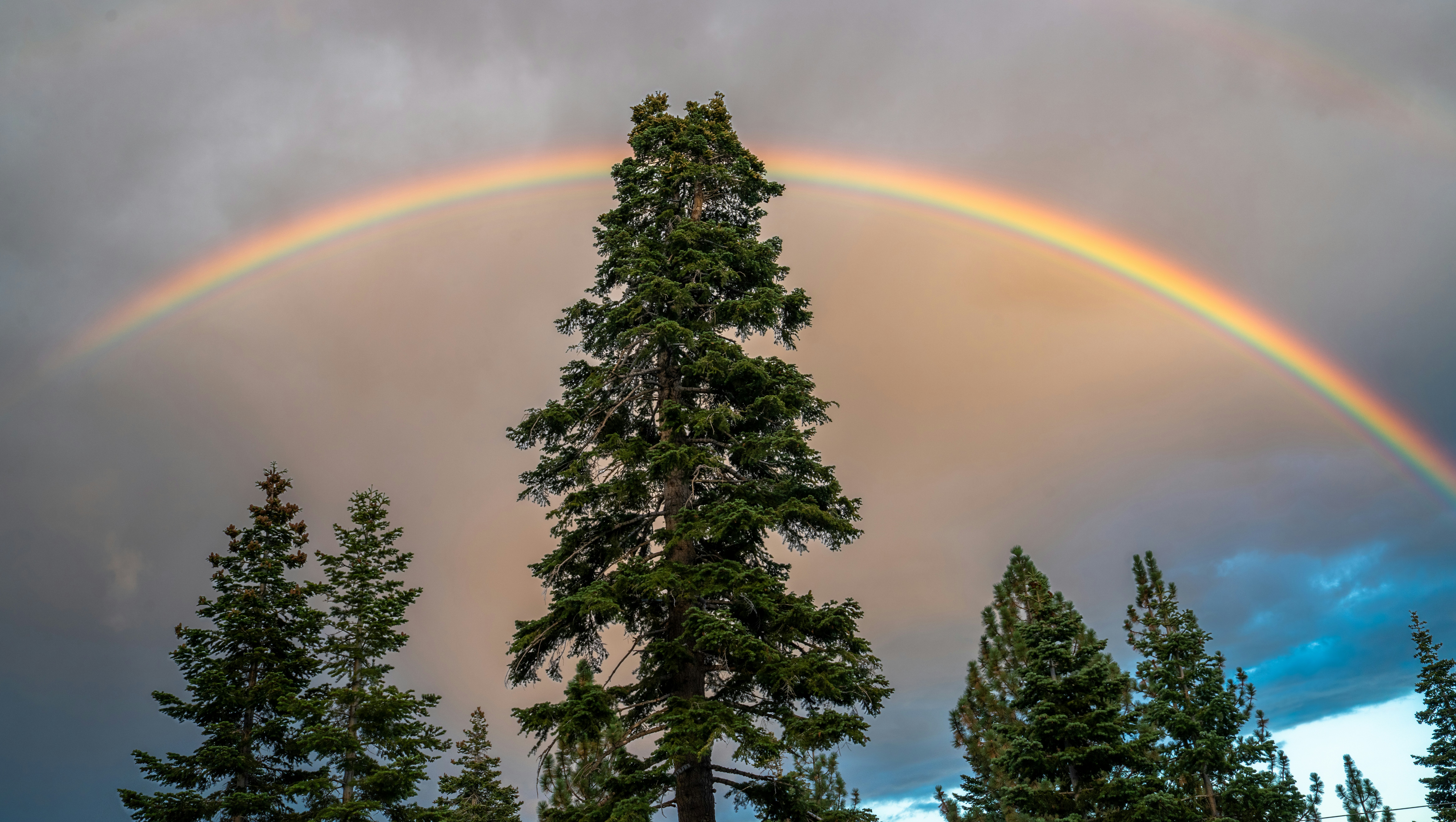 Emerald Arch: Nature's Colorful Embrace