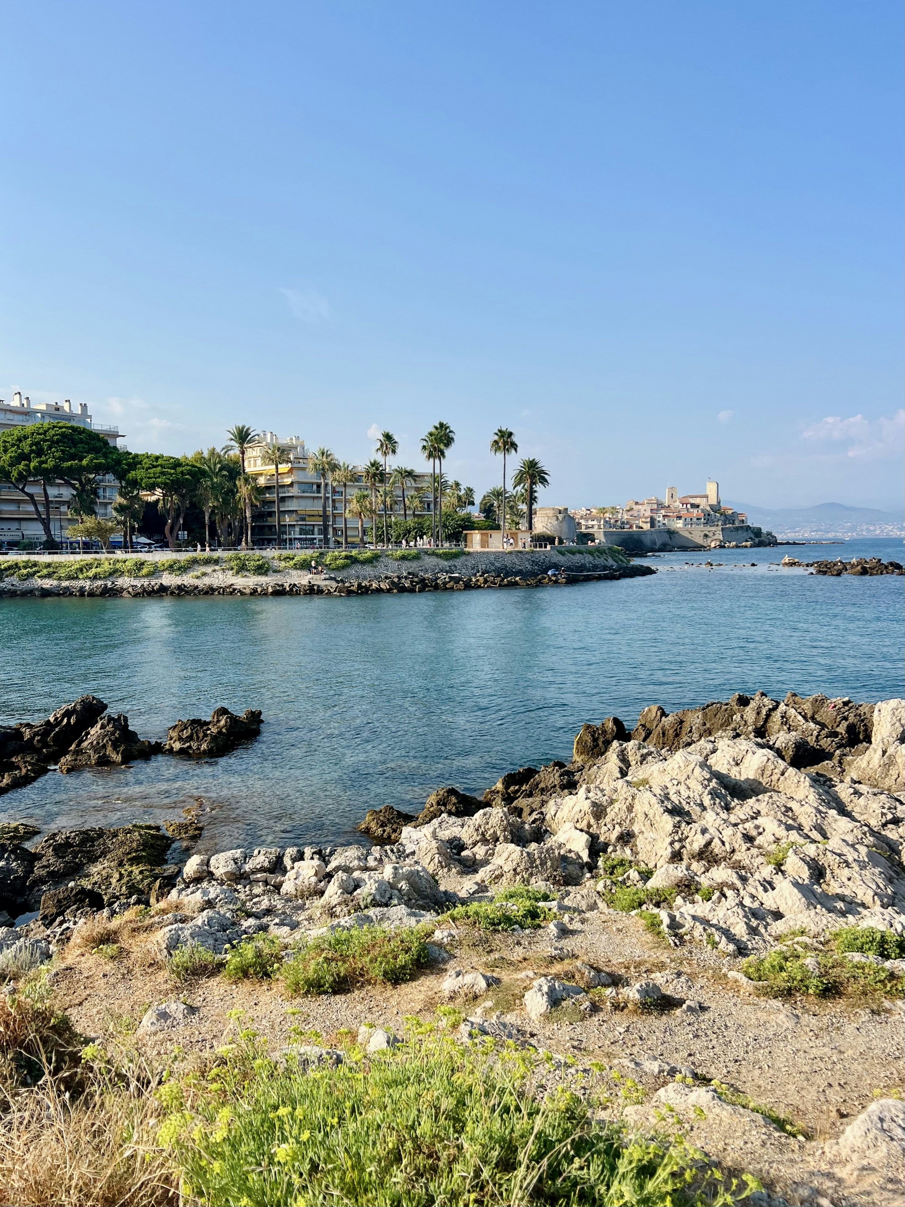 Rocky coastline with buildings and palm trees by blue water.