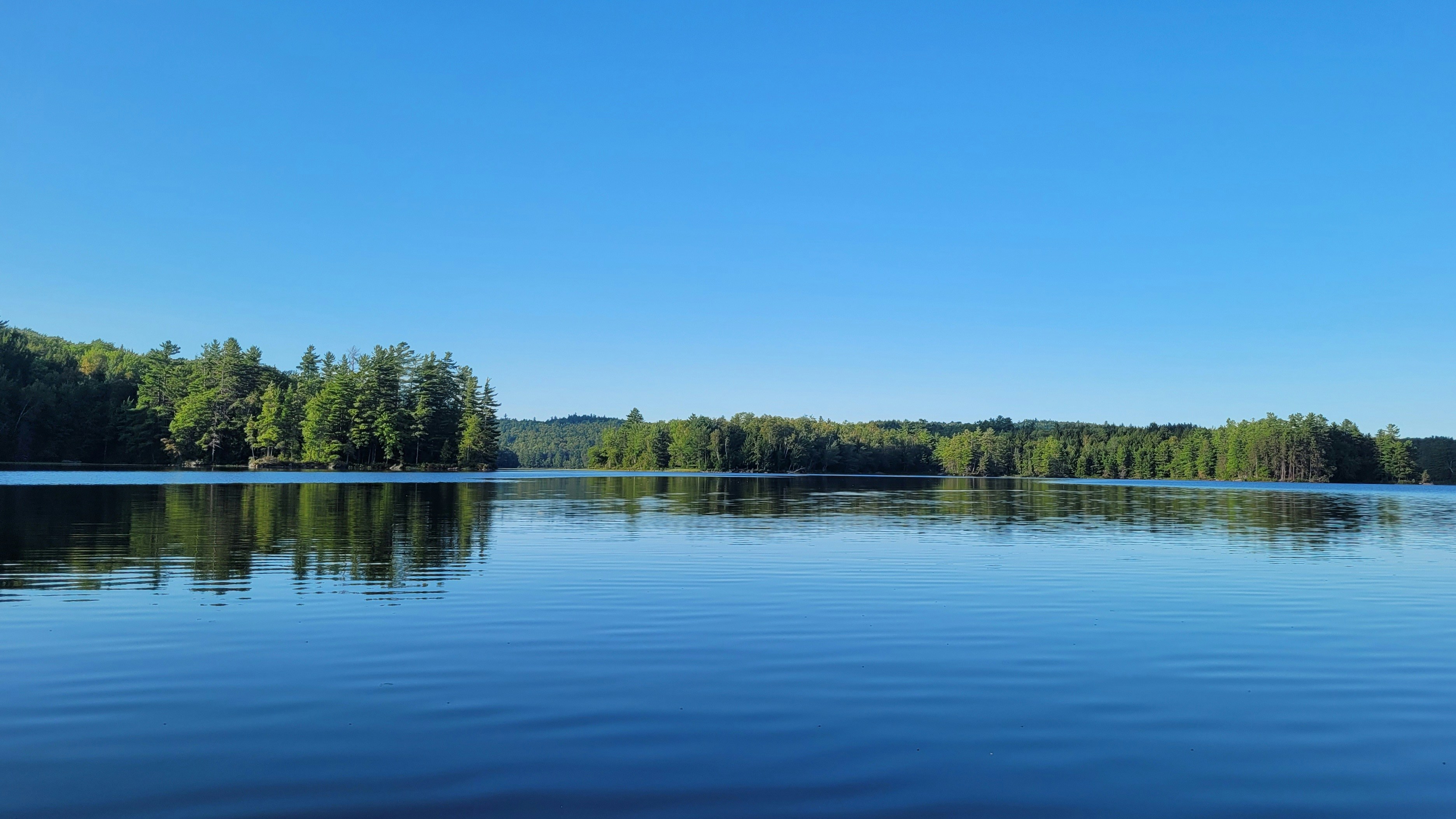 Calm lake reflecting trees under a clear blue sky