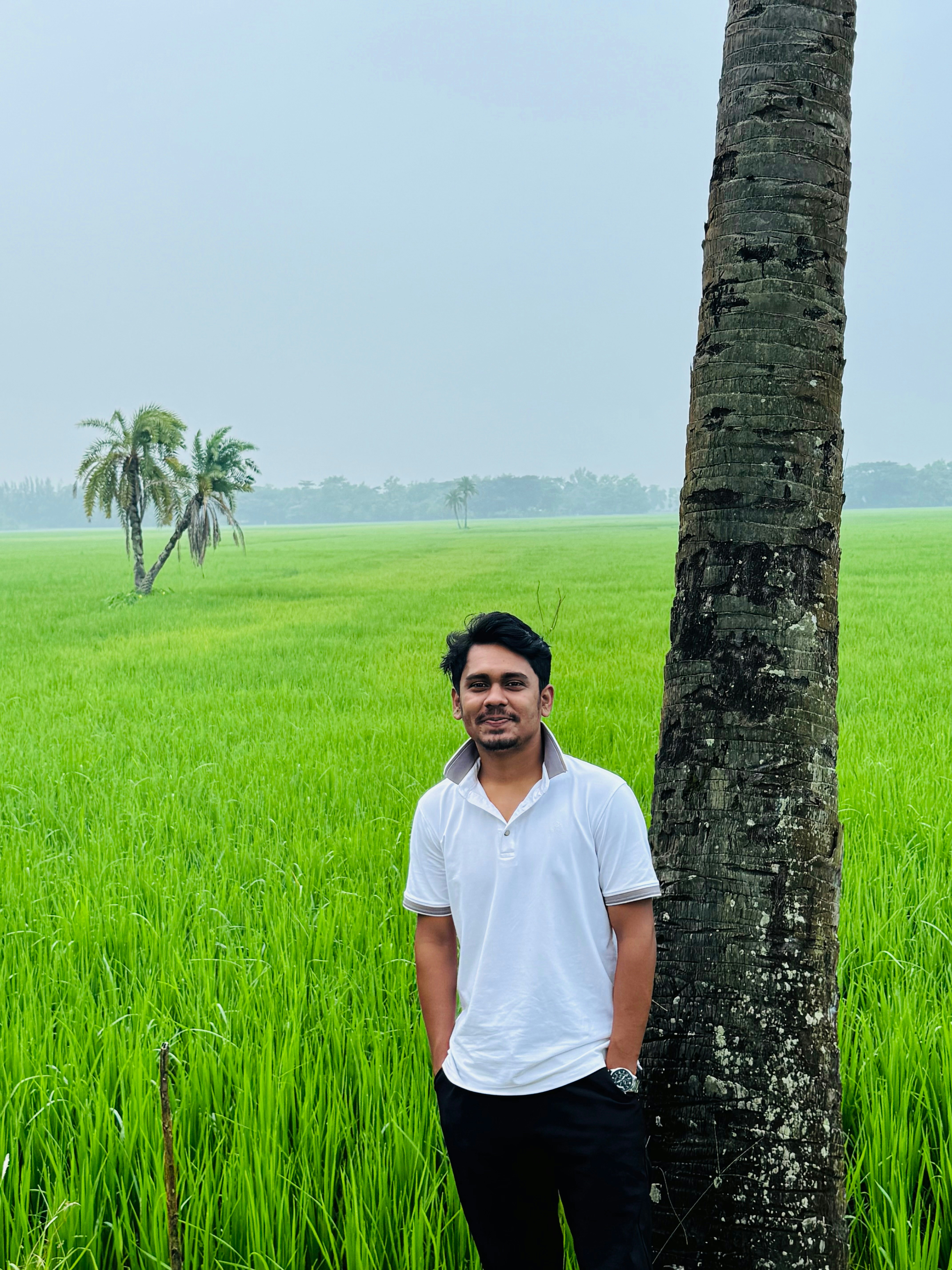 Serenity in Green Fields