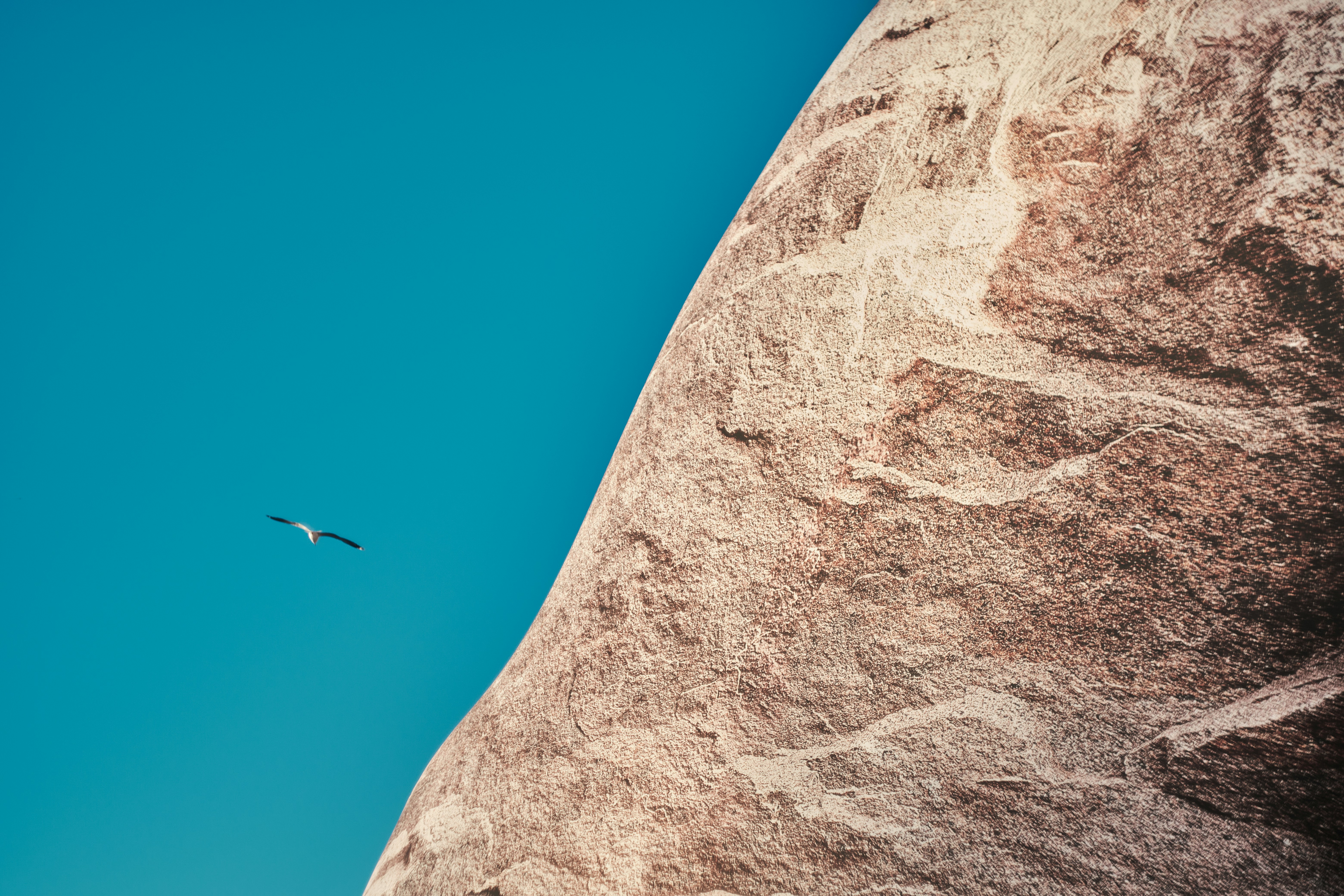 A bird flies against a clear blue sky near rock.
