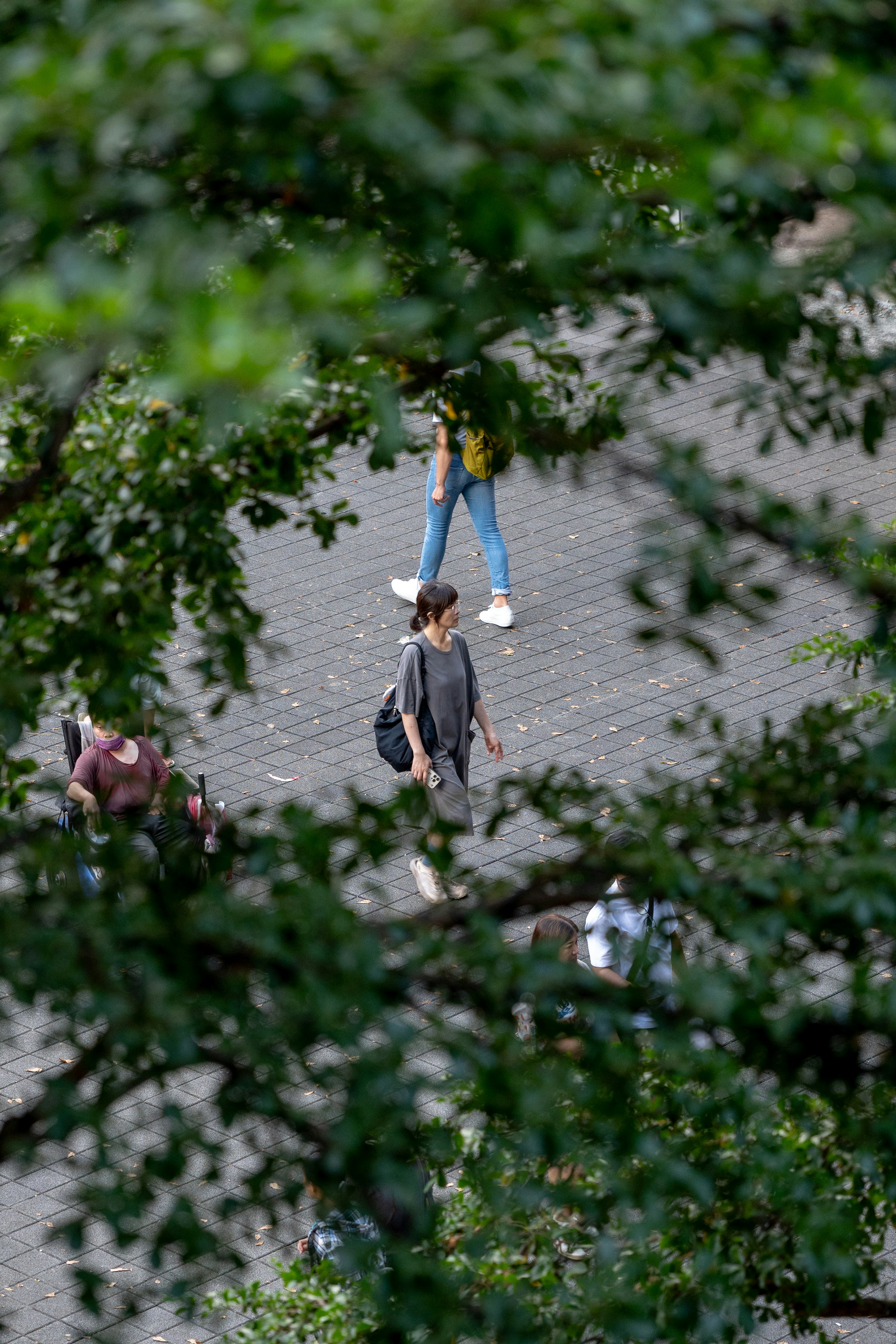 Urban Wanderers: A Glimpse Through the Green