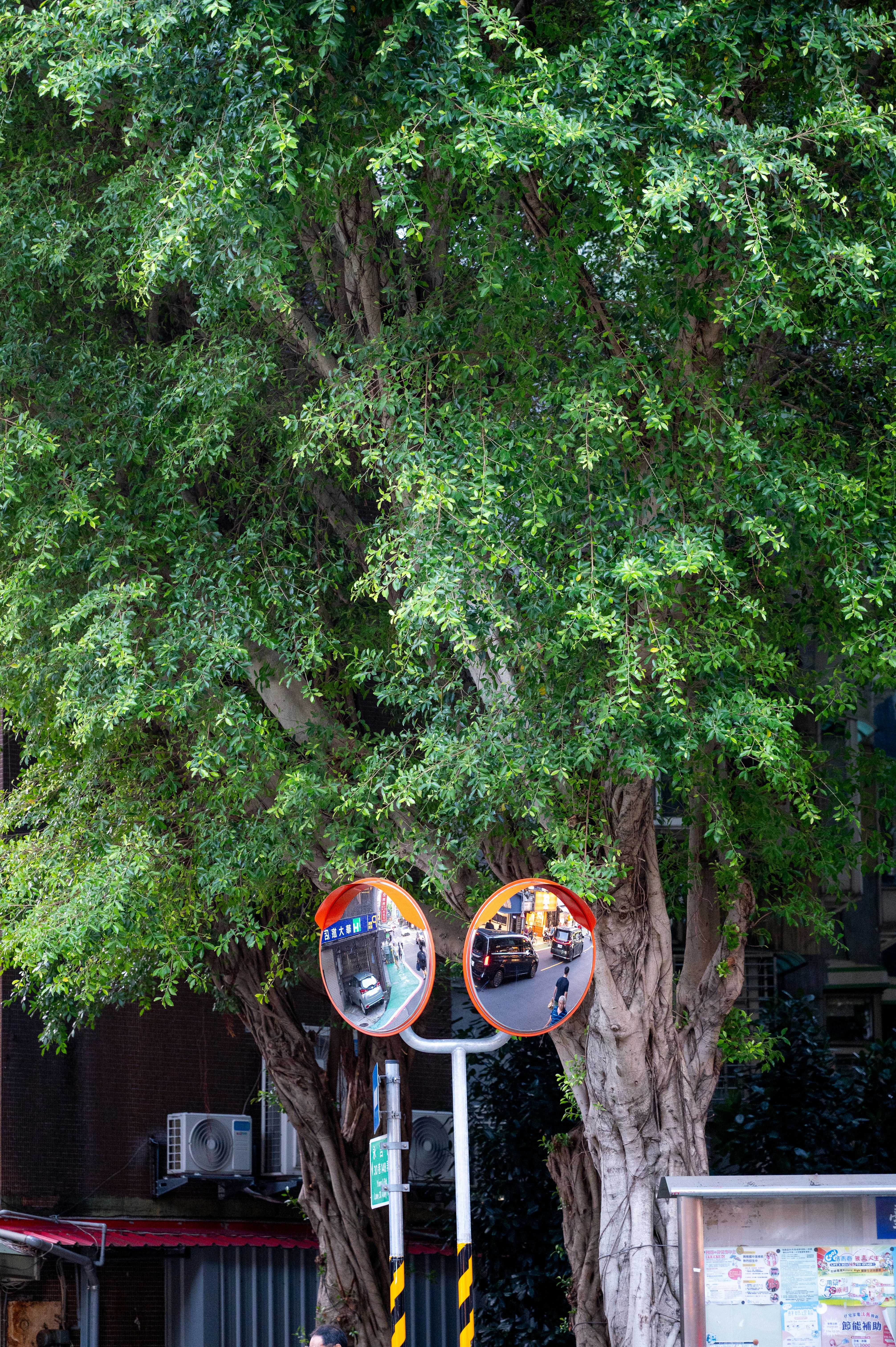 Two convex mirrors reflect a street scene.