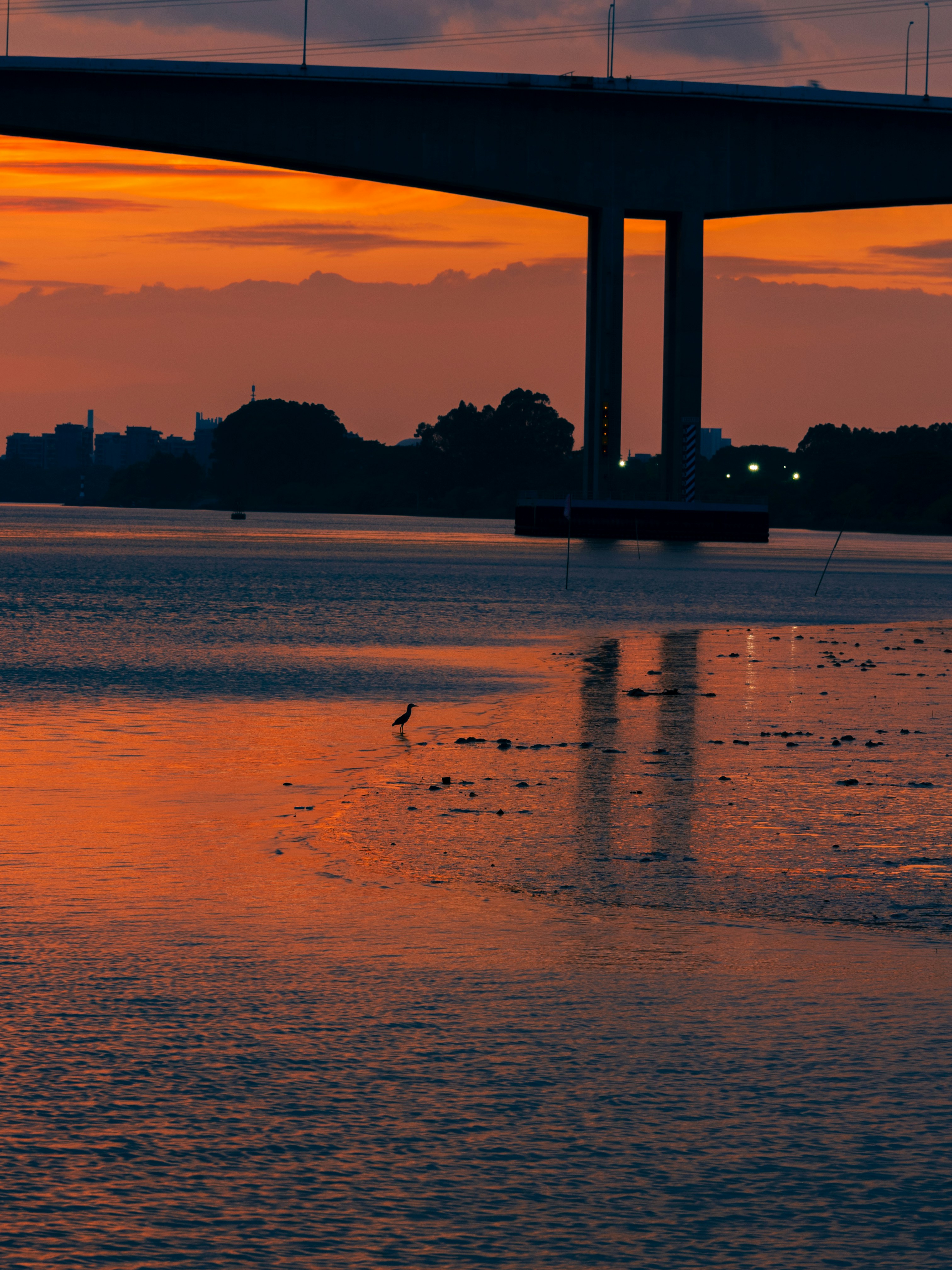 Twilight Reflections Beneath the Bridge