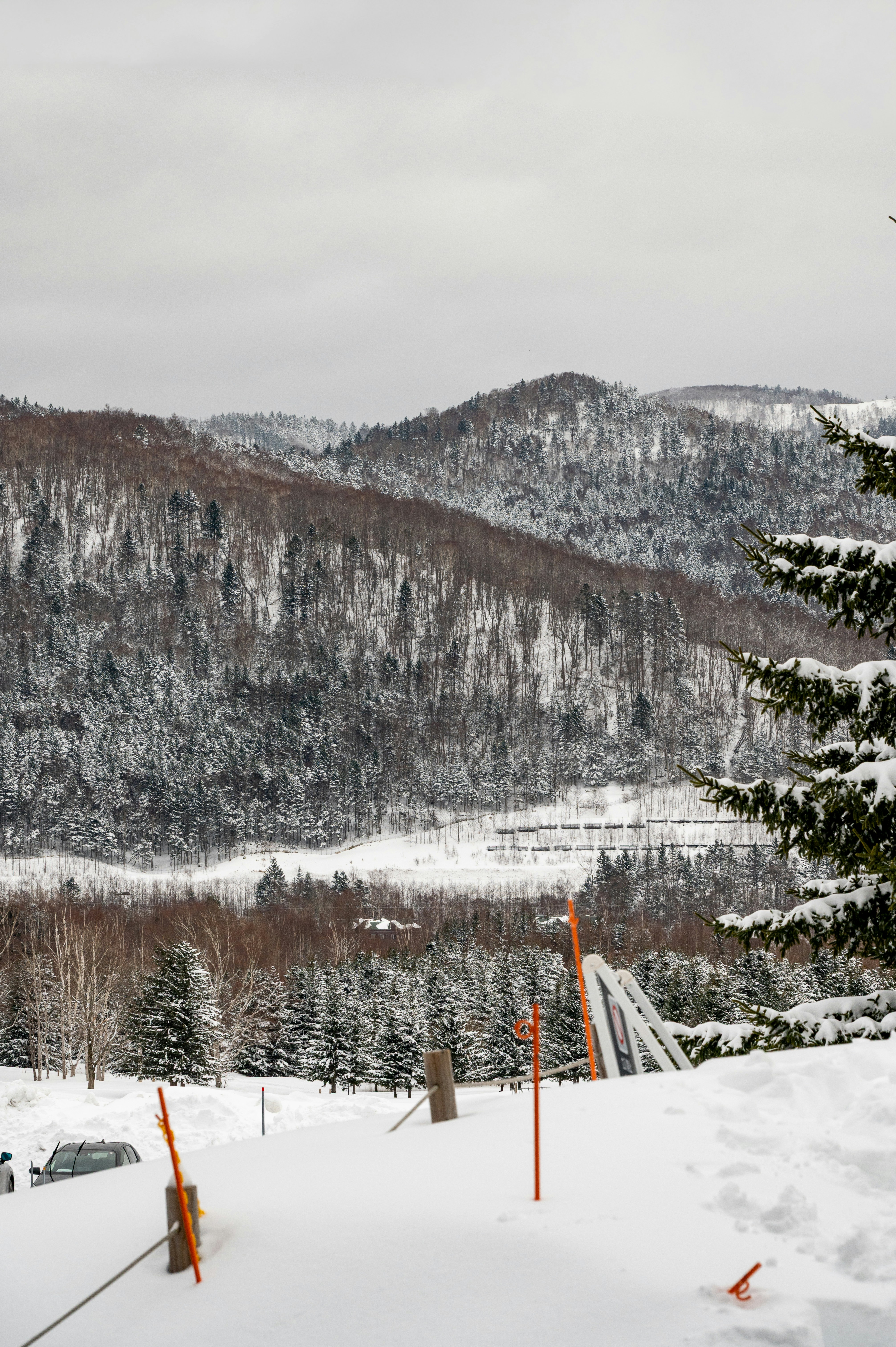 Snowy mountain landscape with evergreen trees