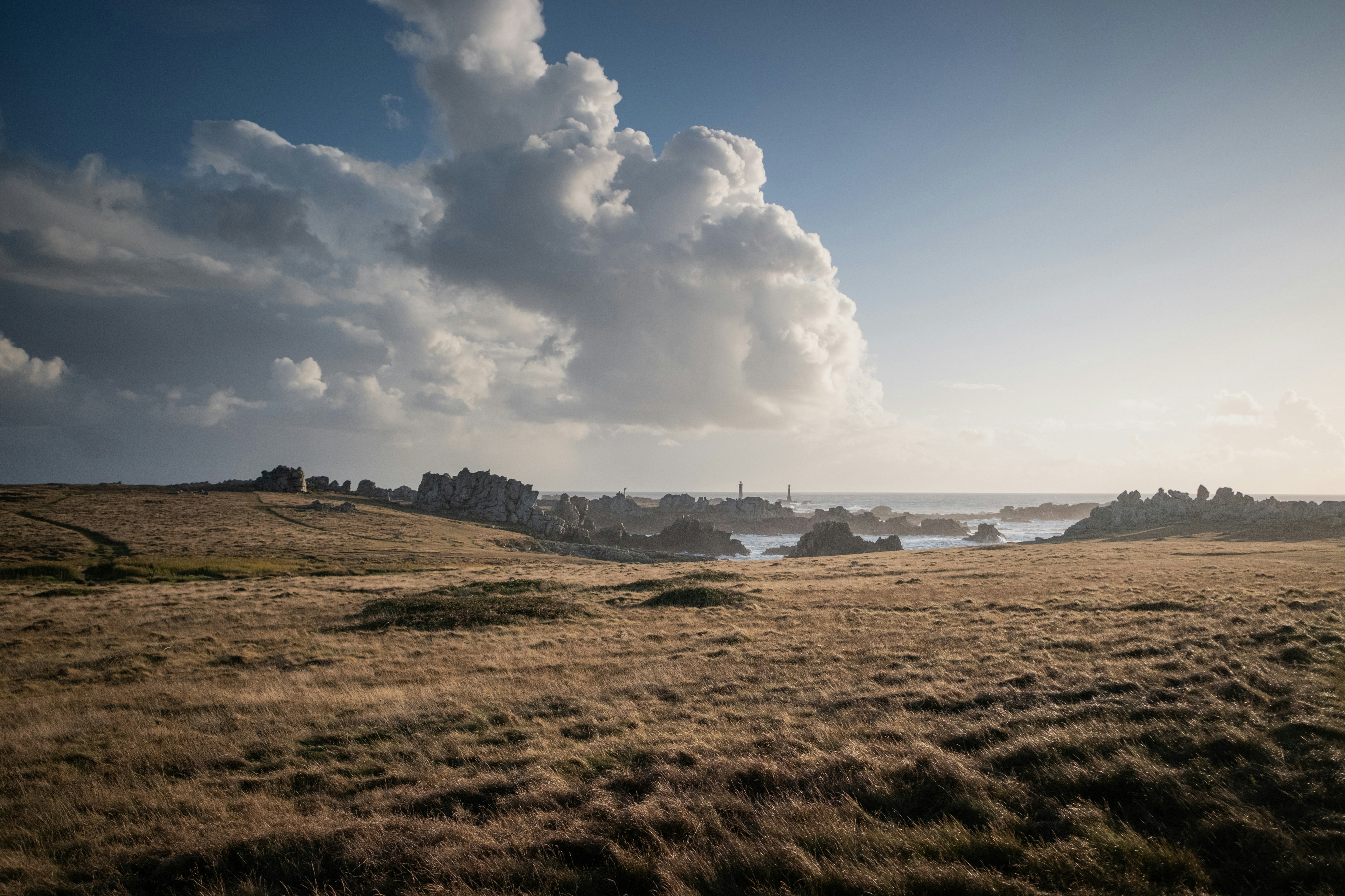 Grassy field with rocky coastline and dramatic clouds