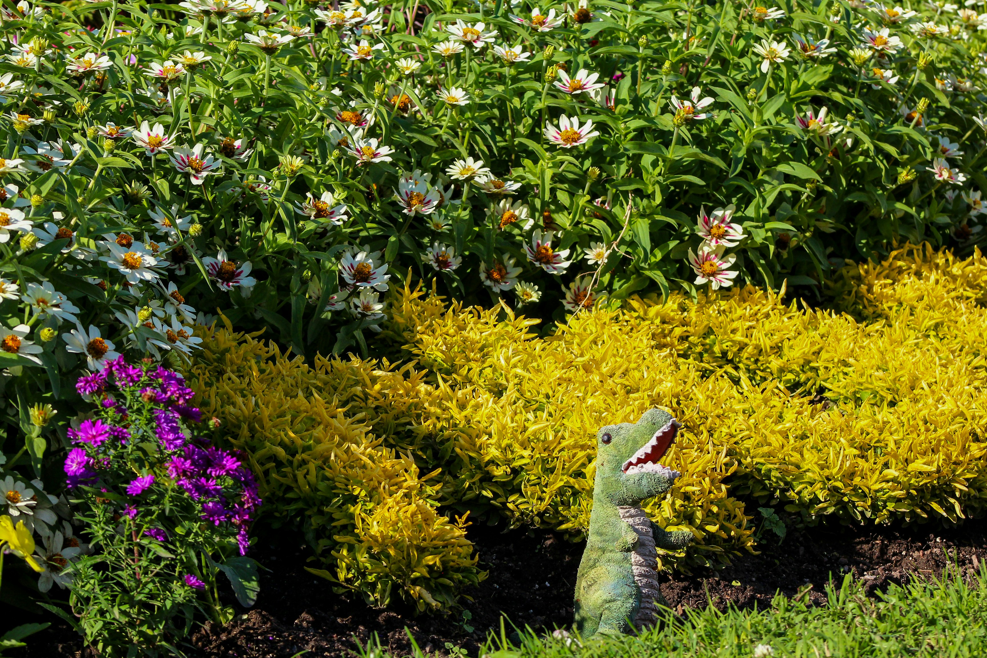 Dinosaur toy among colorful flowers and plants.