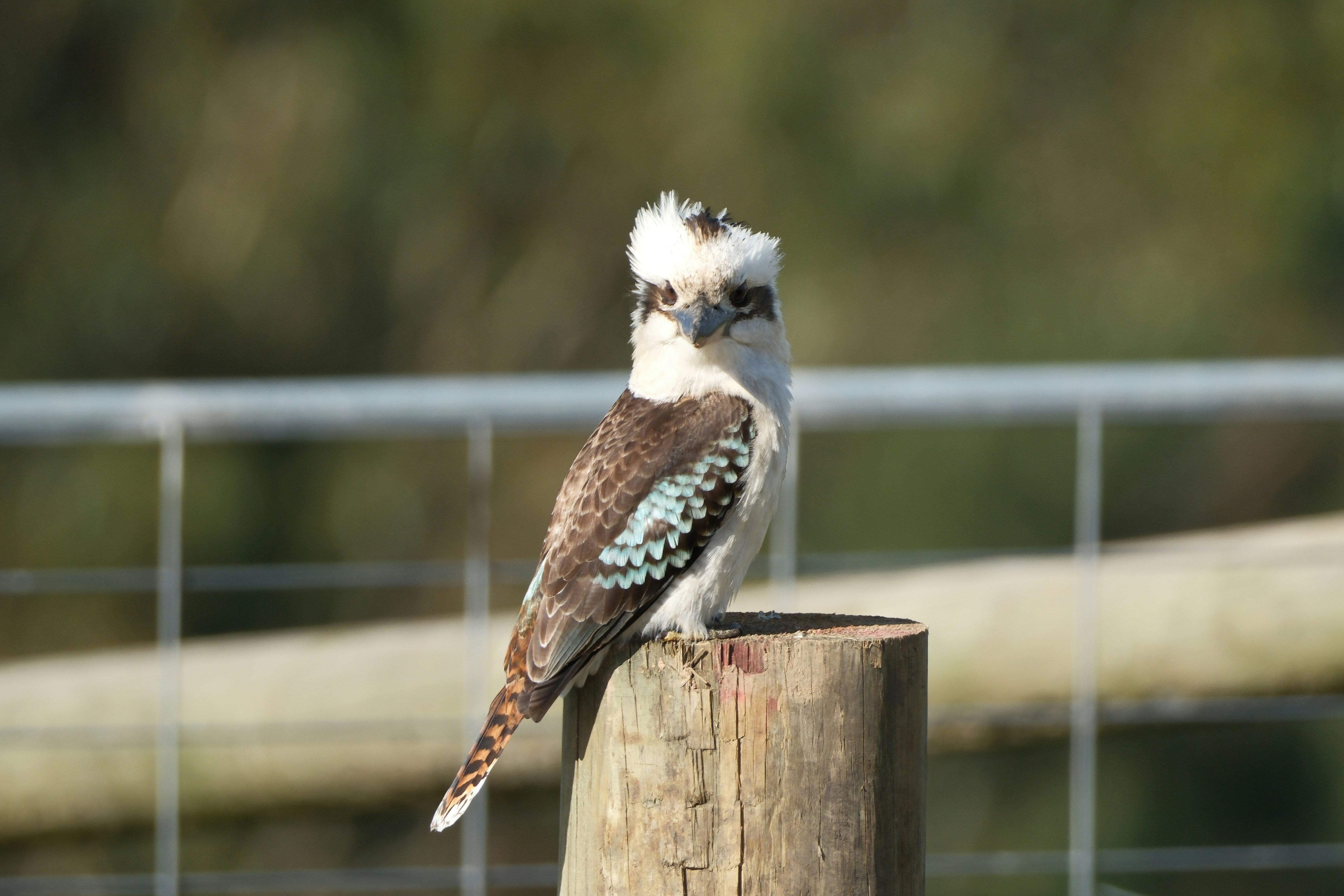 Photo by Walter Coppola with Fujifilm X-H2