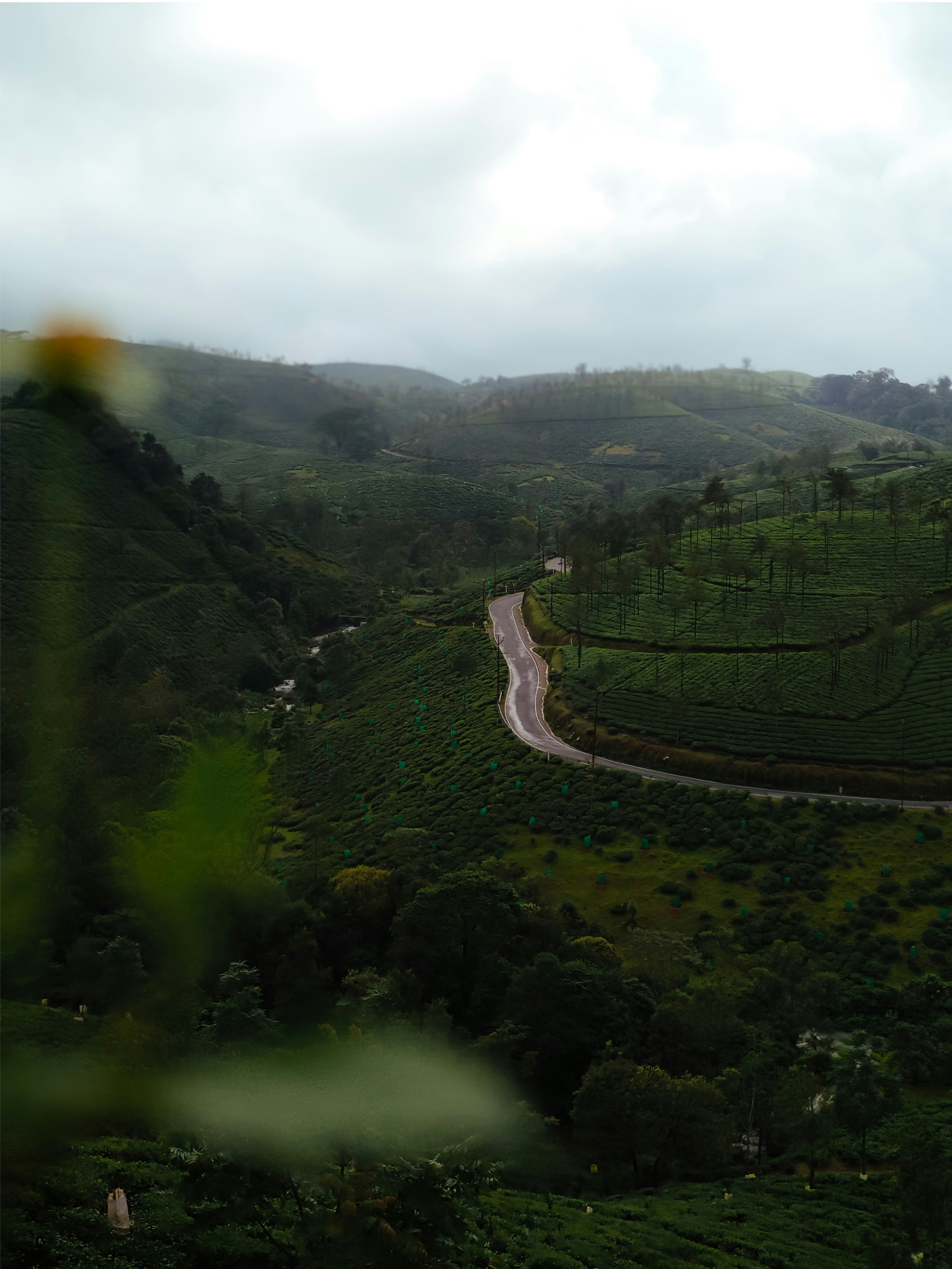 Sample photo from Nothing CMF Phone 2 Pro