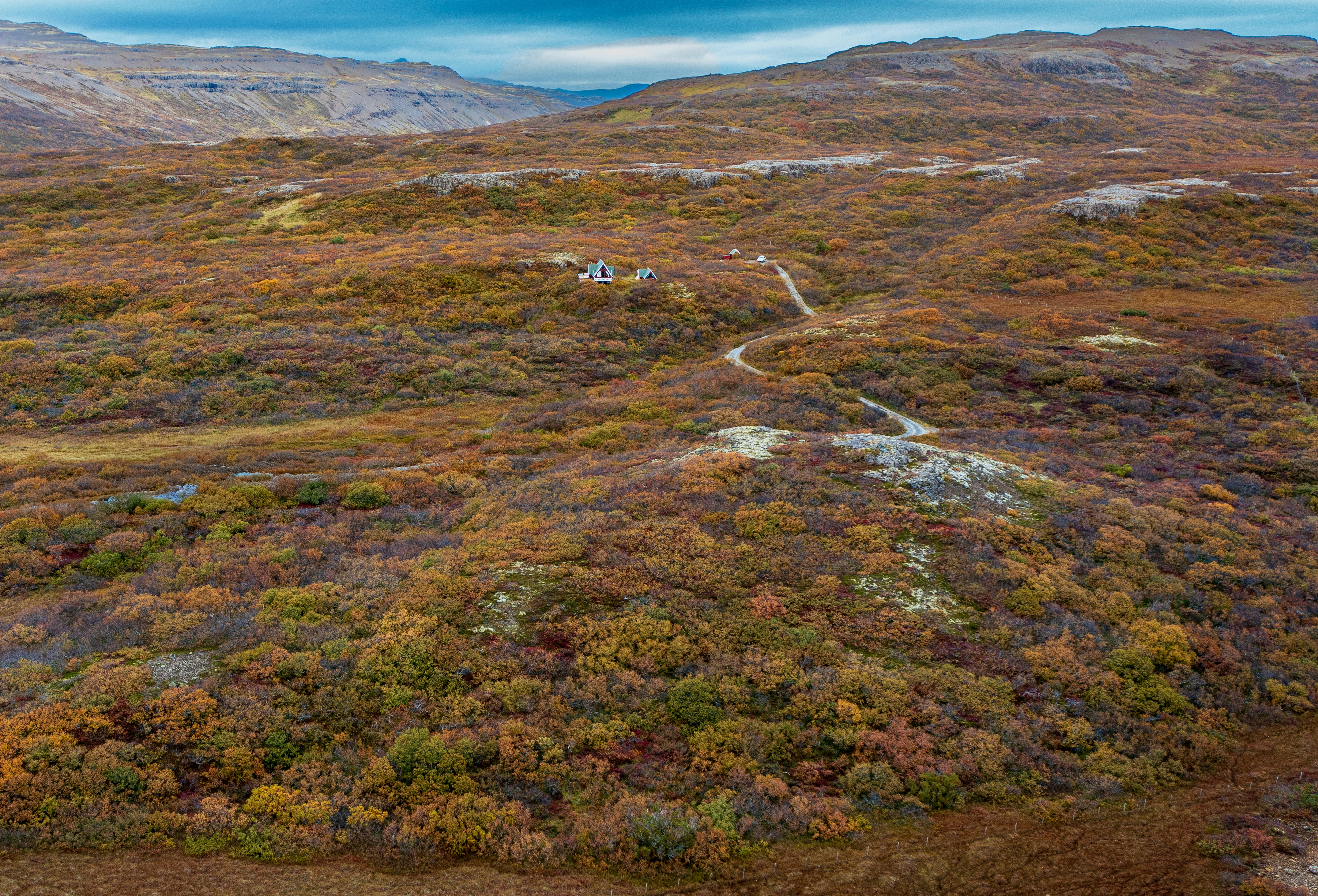 Autumn landscape with rolling hills and sparse vegetation.