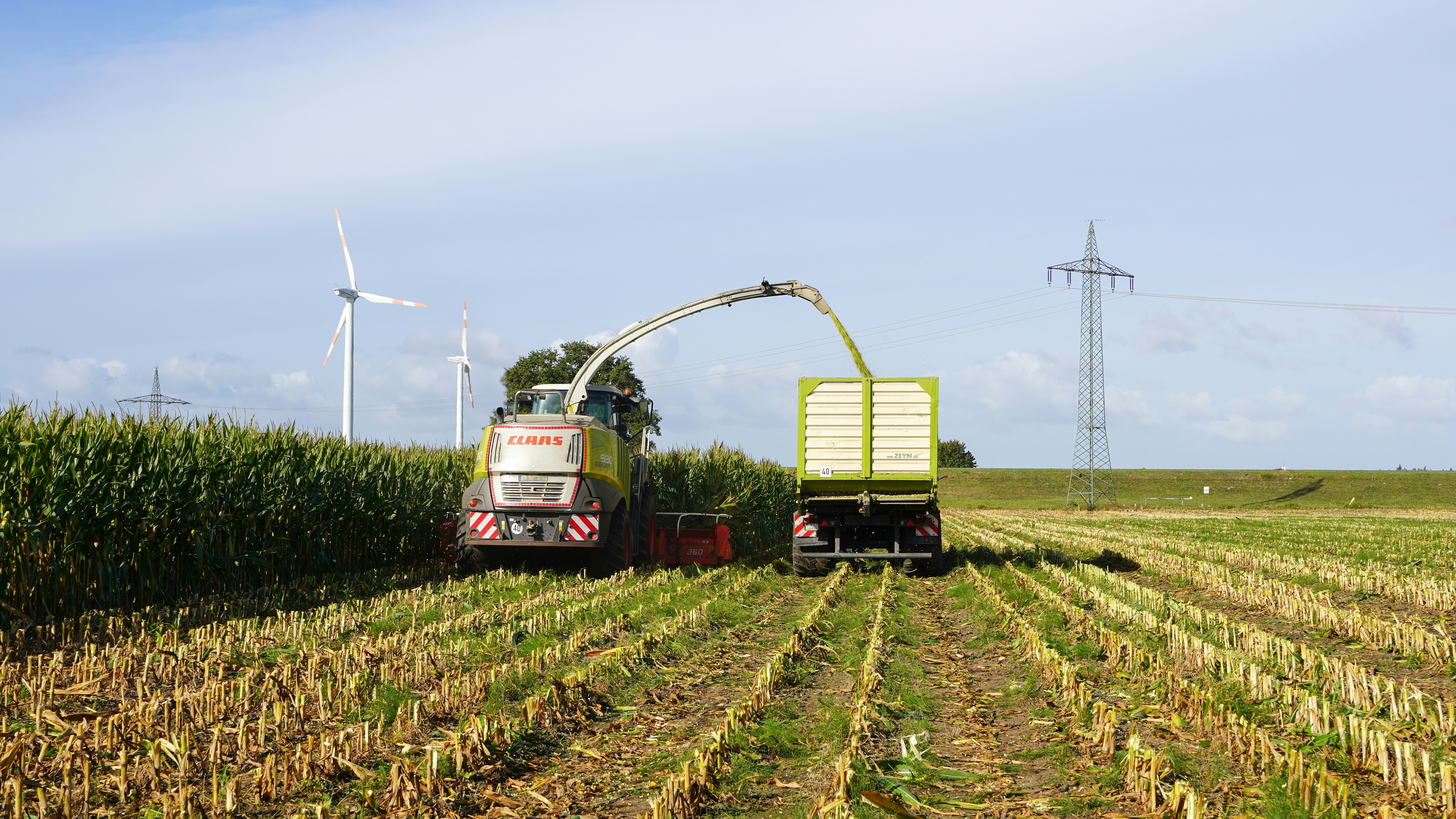 Harvester cutting corn and loading into truck