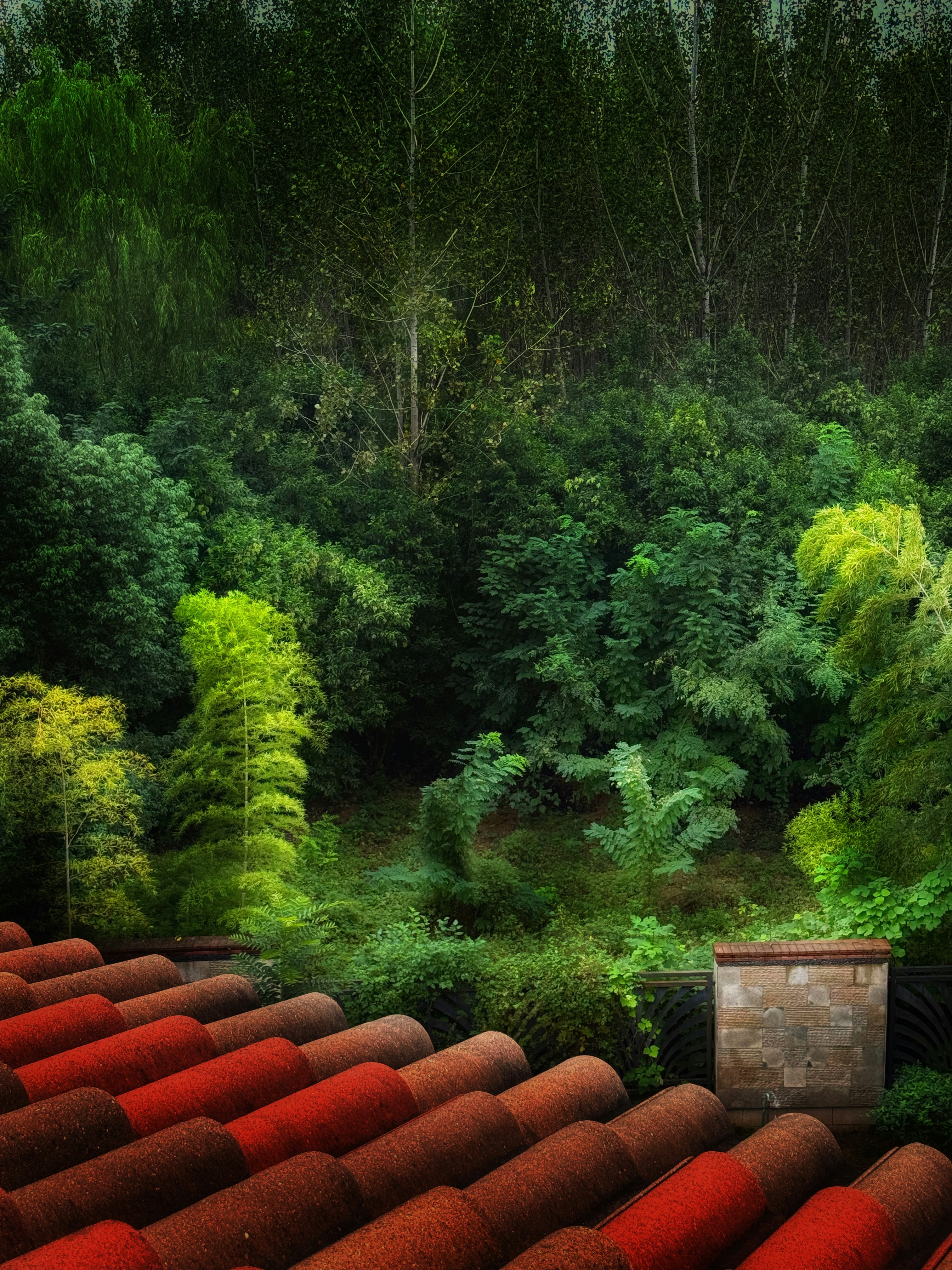 Harmony of Nature and Architecture