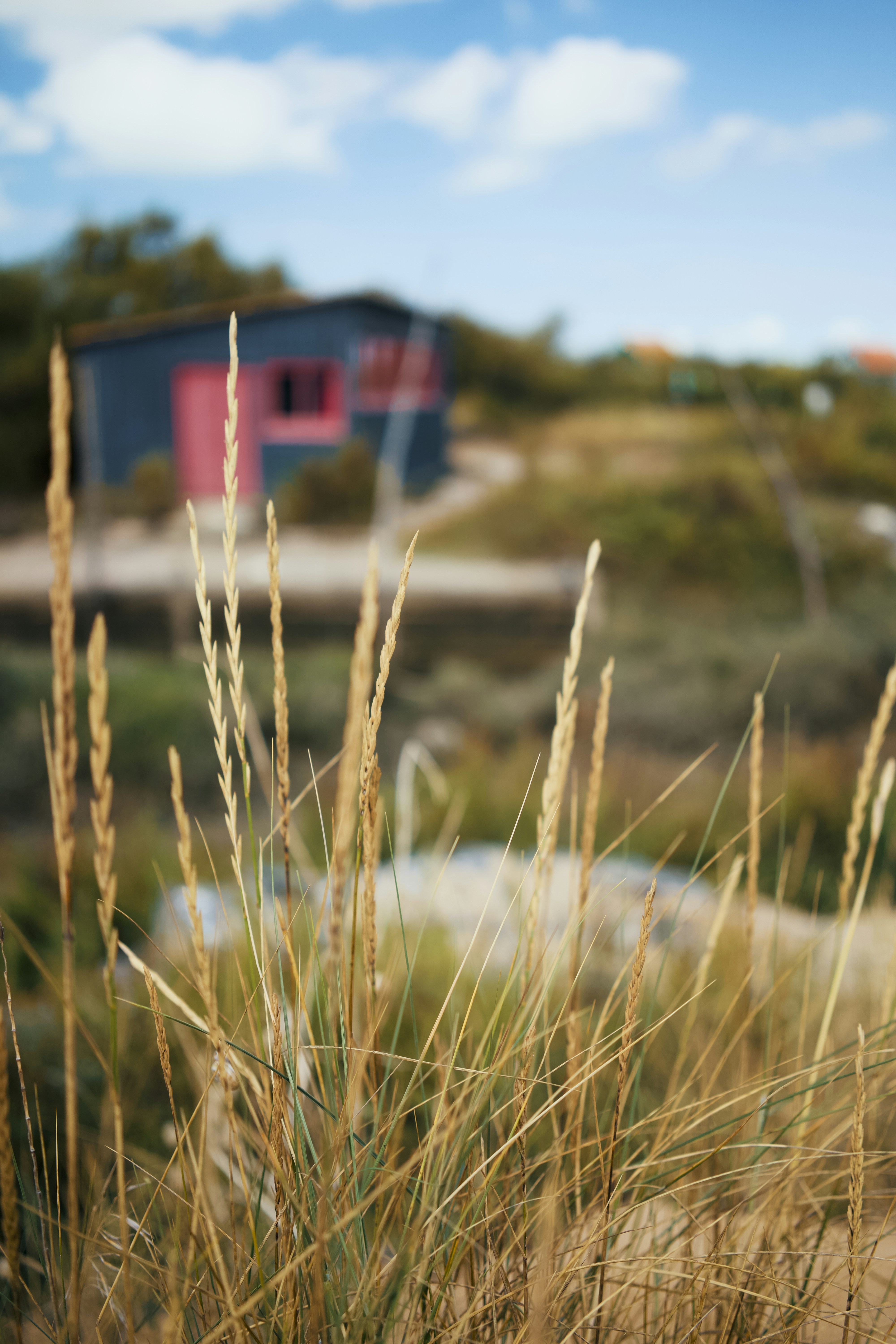 A small weathered beach hut with a pink window.
