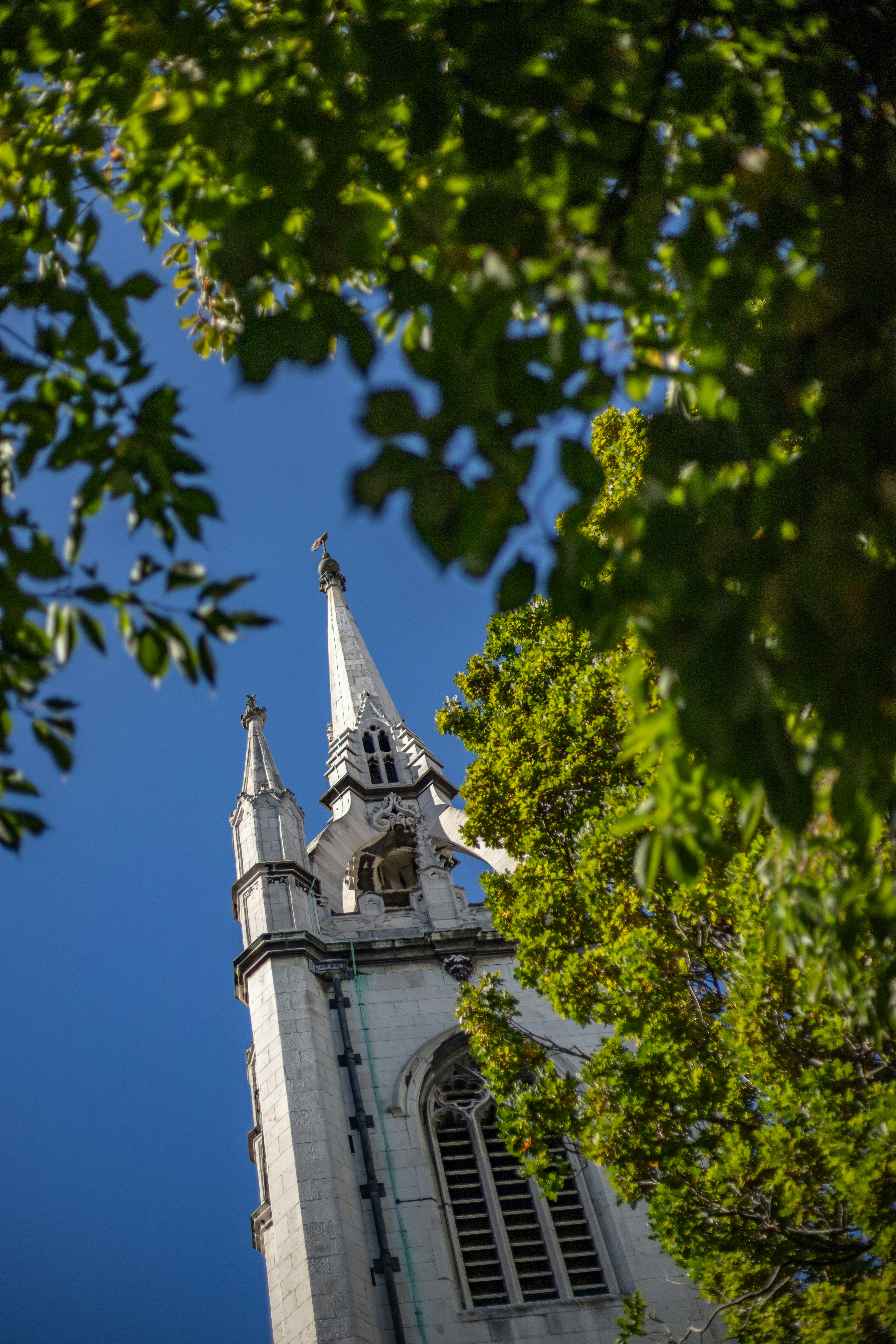 Reaching for the Sky: A Steeple's Perspective
