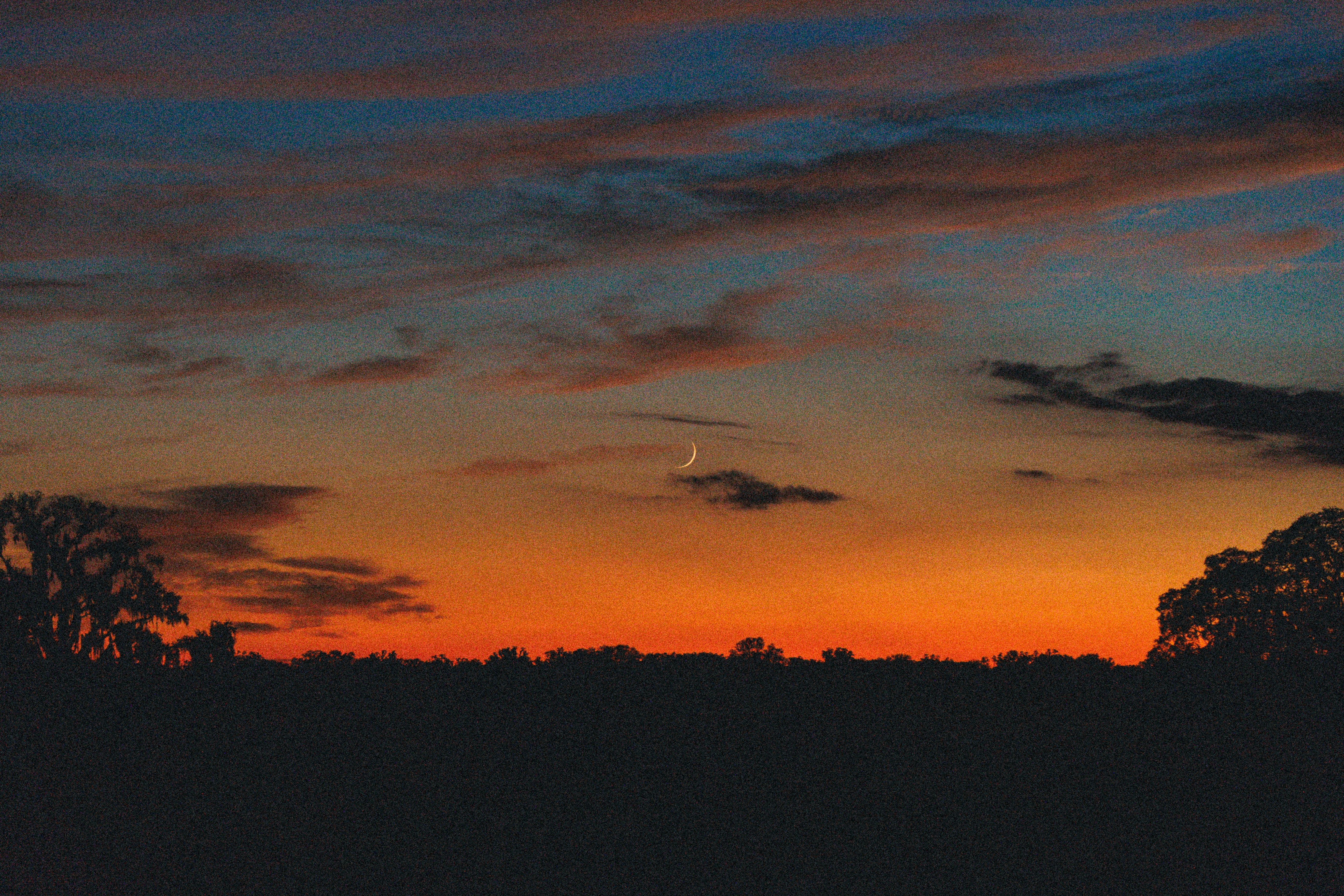 Whispers of Twilight: A Celestial Embrace