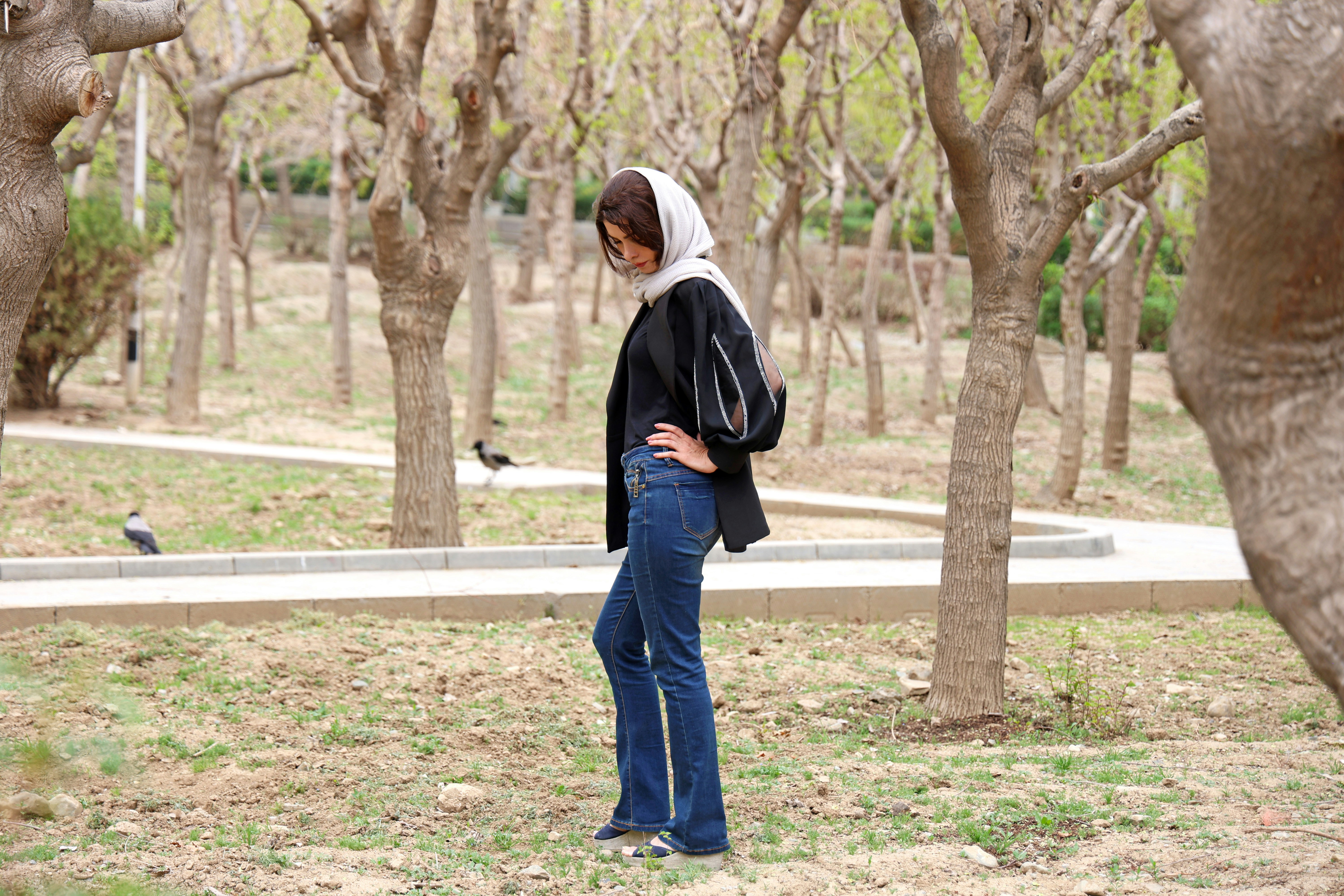 Whispers of Nature: A Serene Stroll