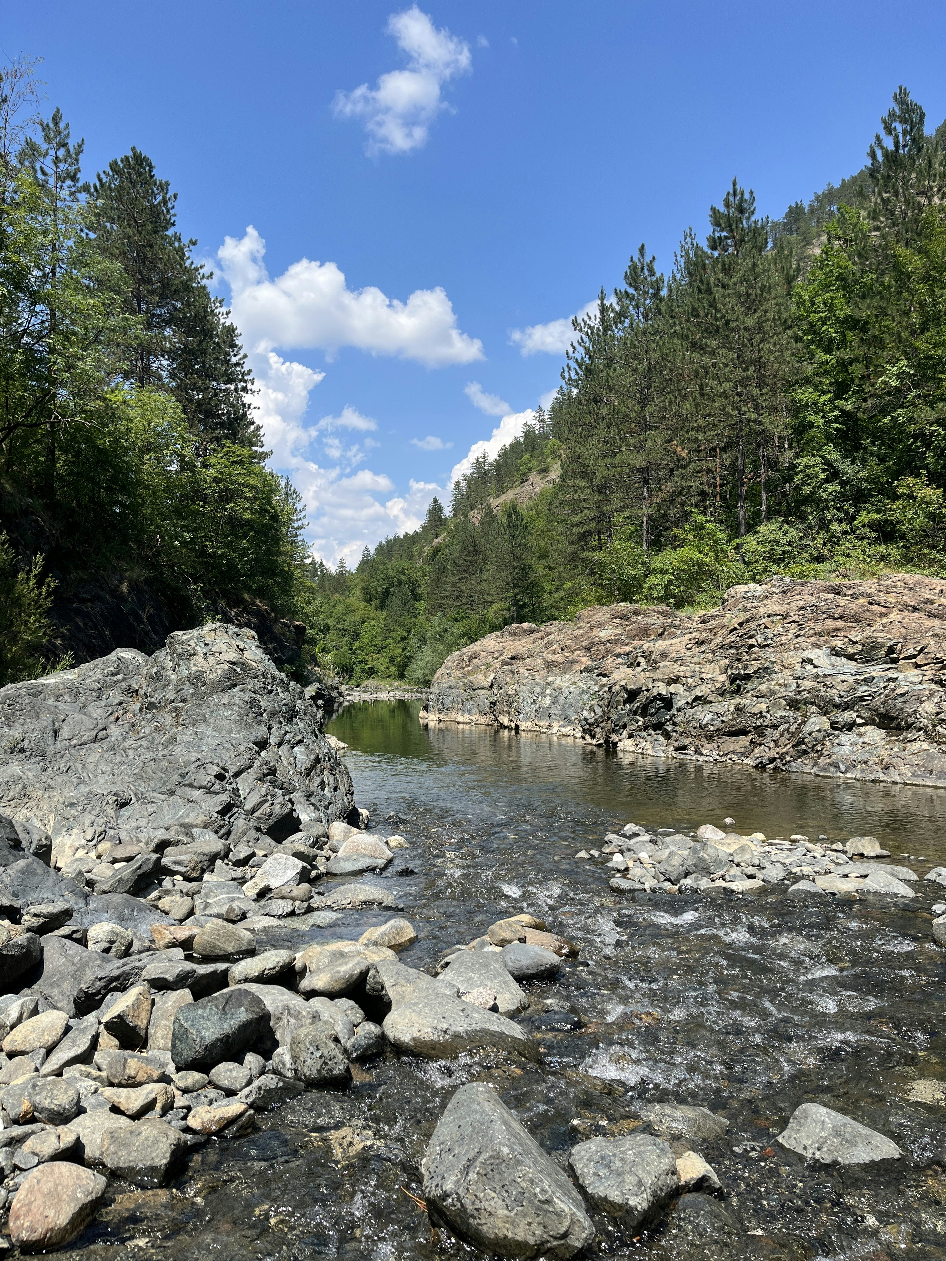 Part of the Gostovic River surrounded by rocks | Rocky river flowing through a lush green forest.
