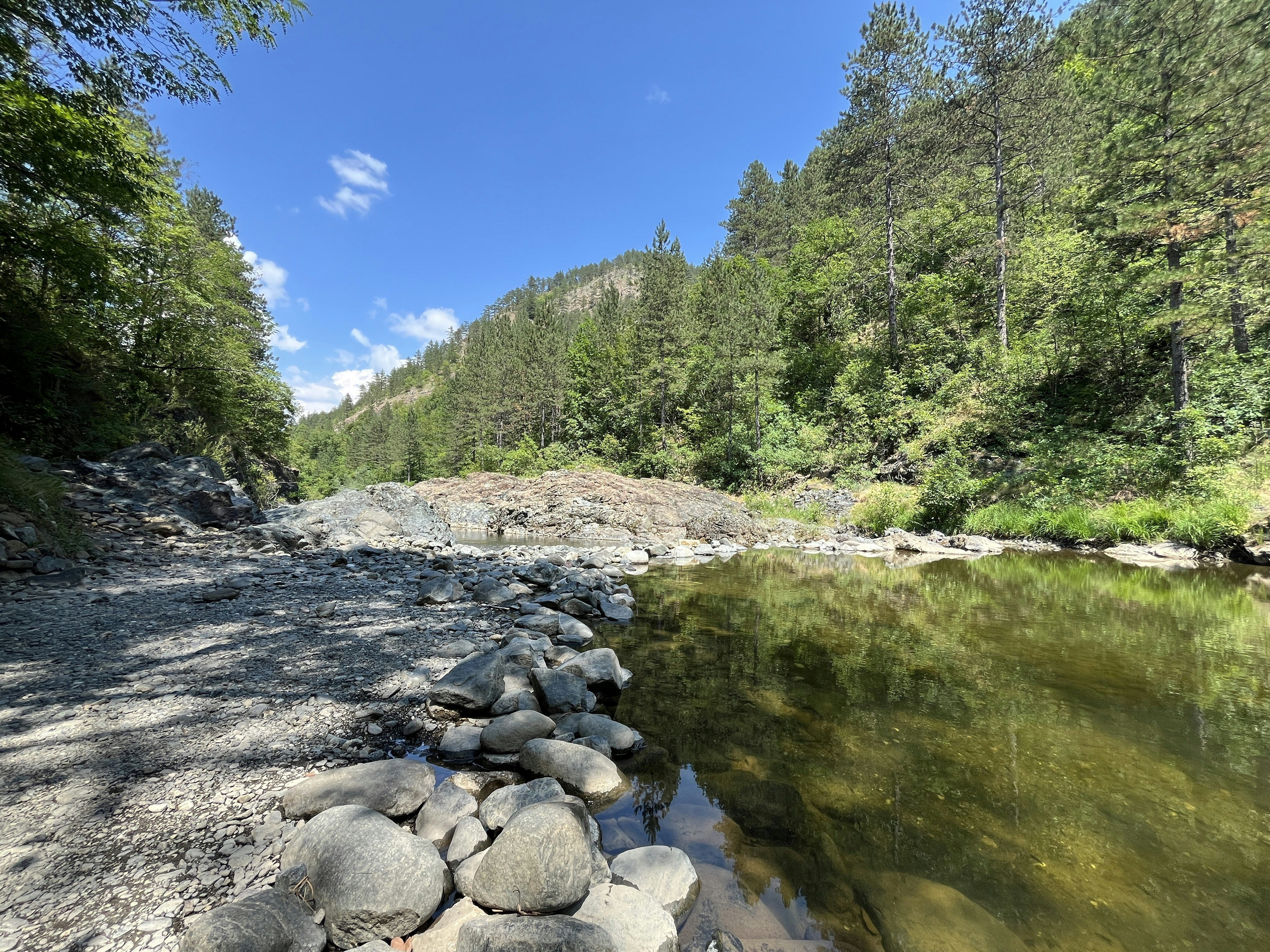 Serenity by the Stream: A Nature's Embrace