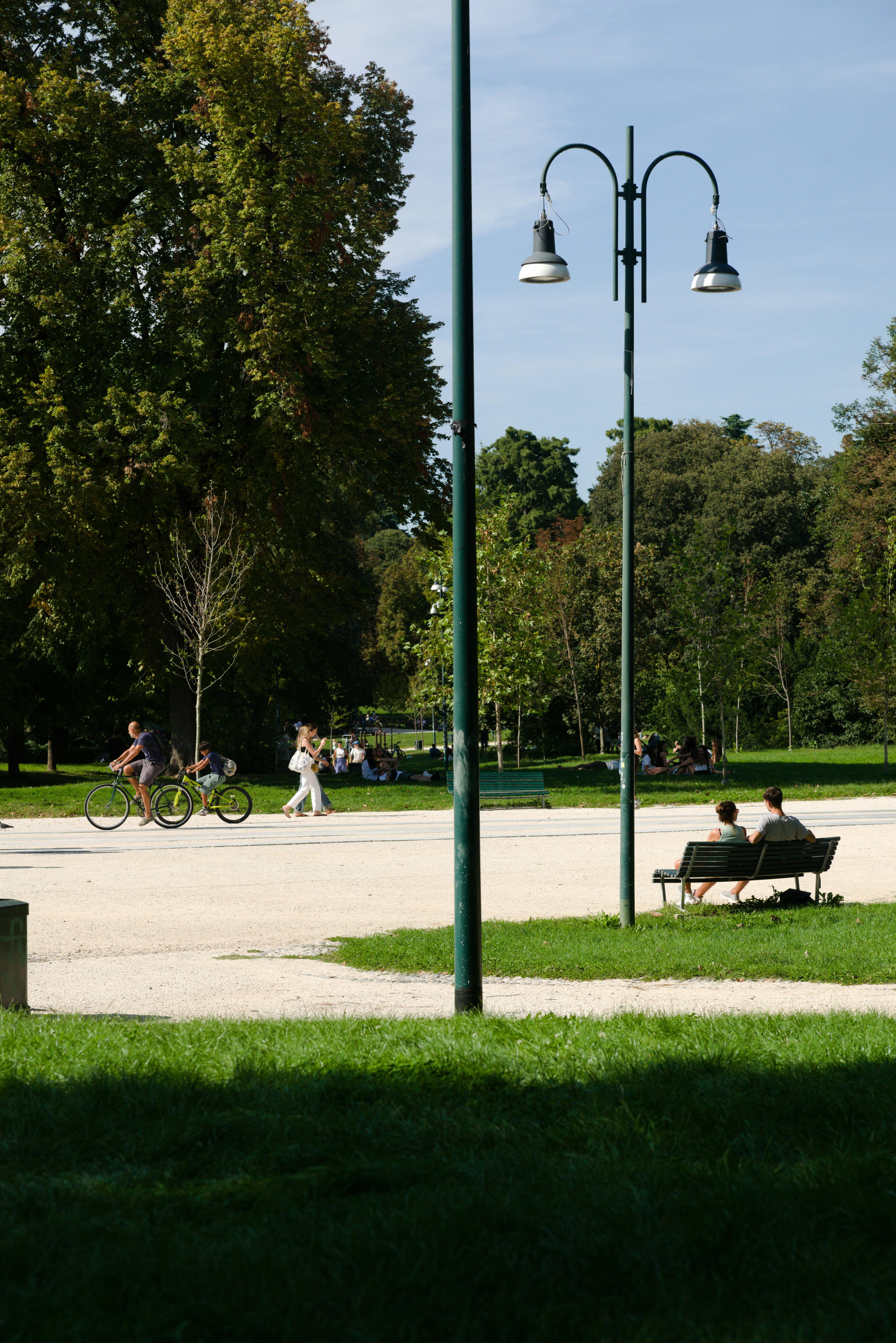 Leisurely Moments in the Park