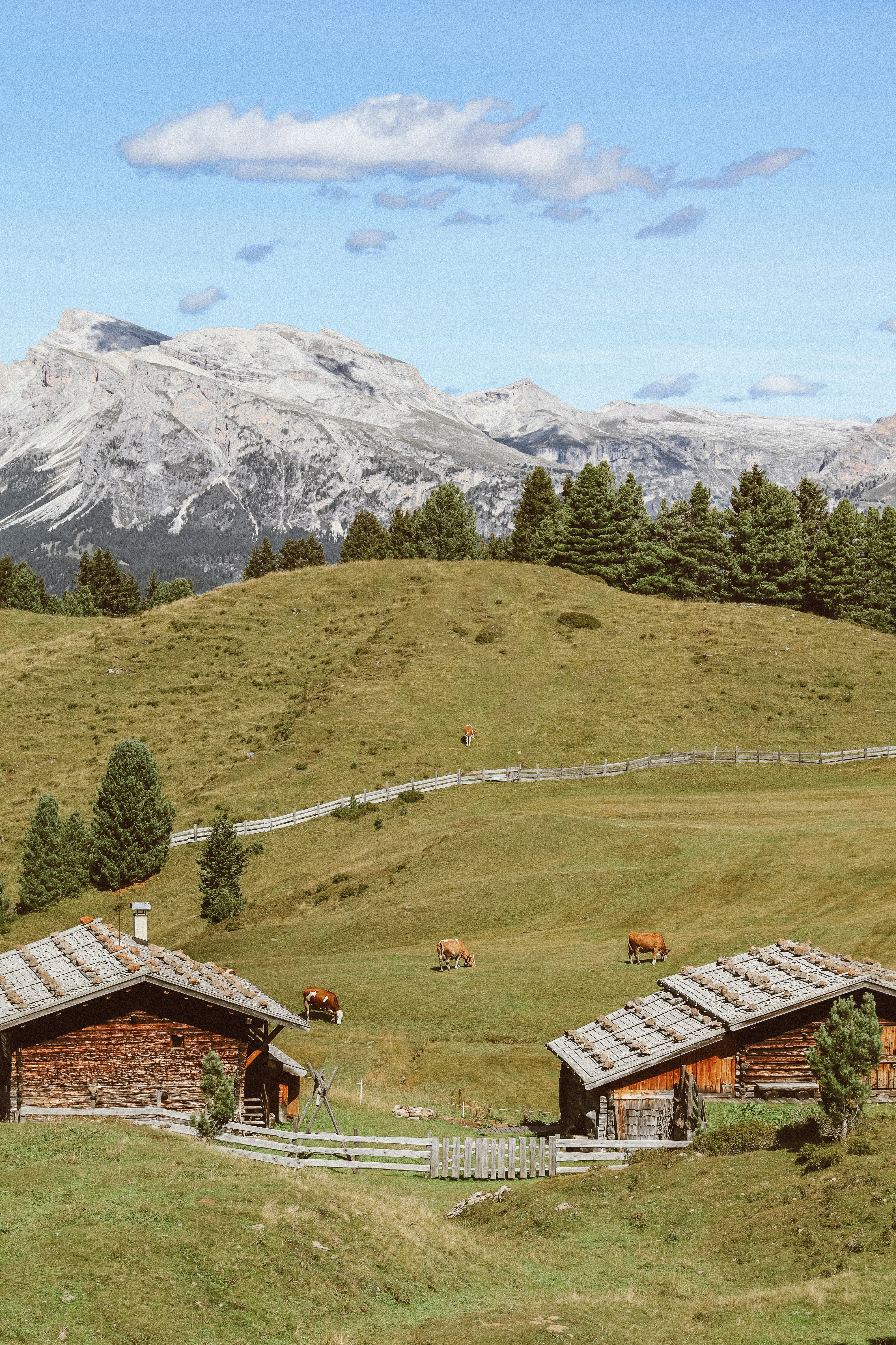 Serenity Amidst the Peaks