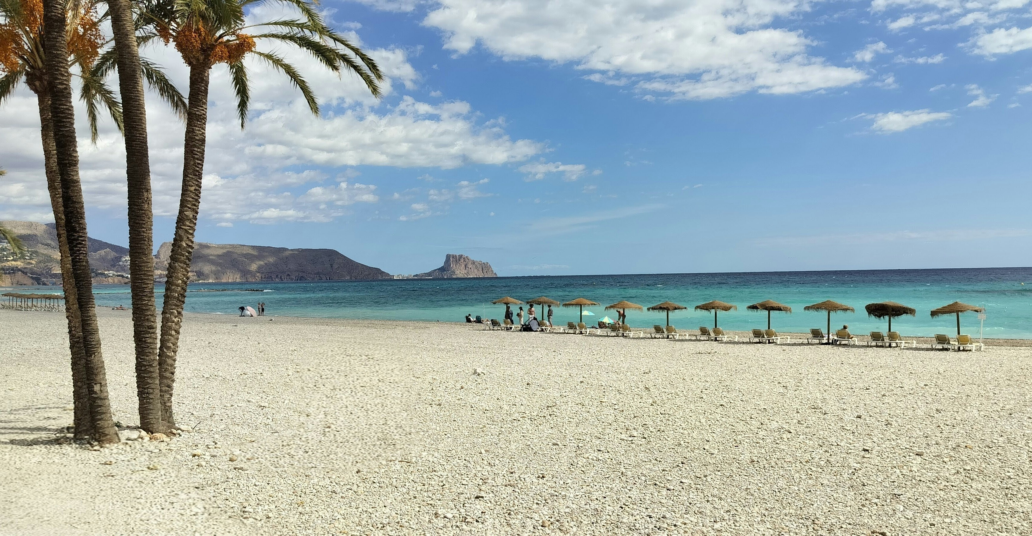 A serene beach scene featuring palm trees, sun loungers, and a distant mountain backdrop under a blue sky with scattered clouds.