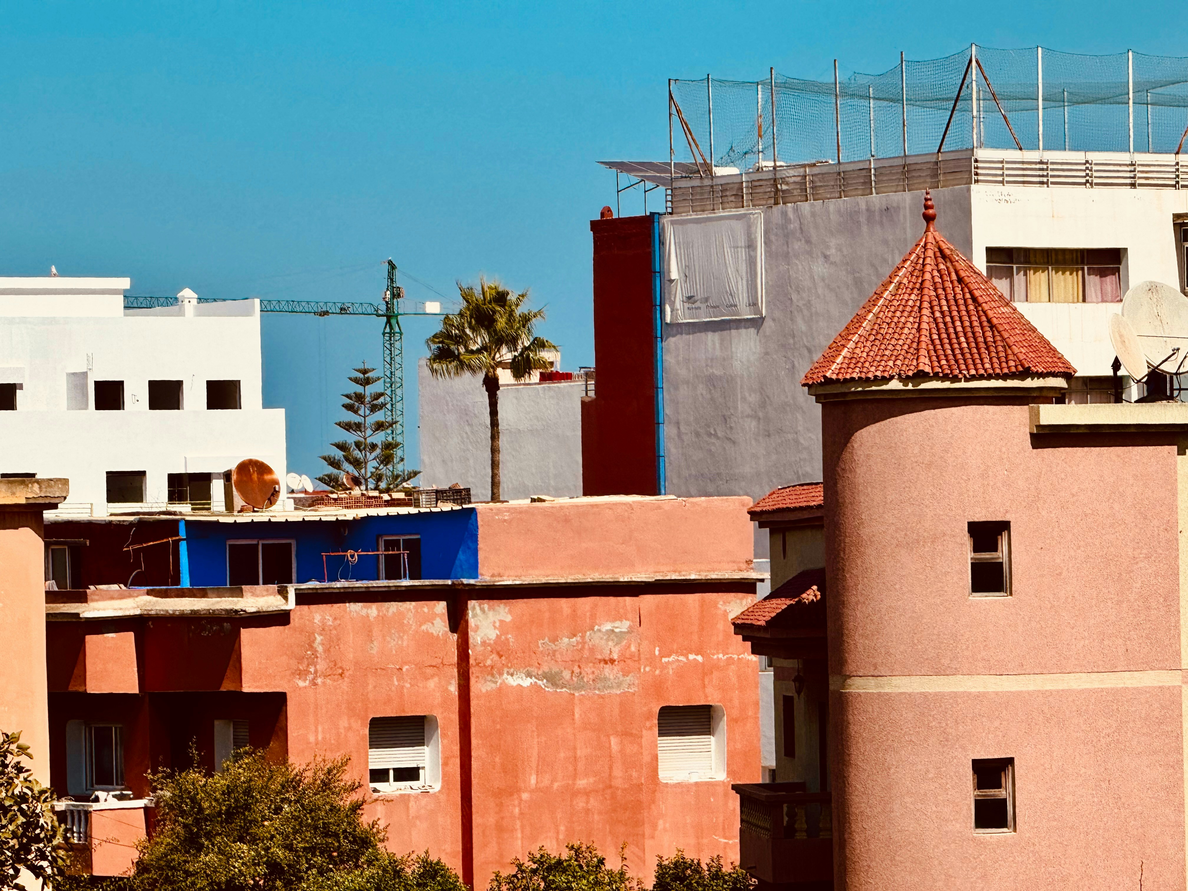 Buildings with a palm tree under blue sky