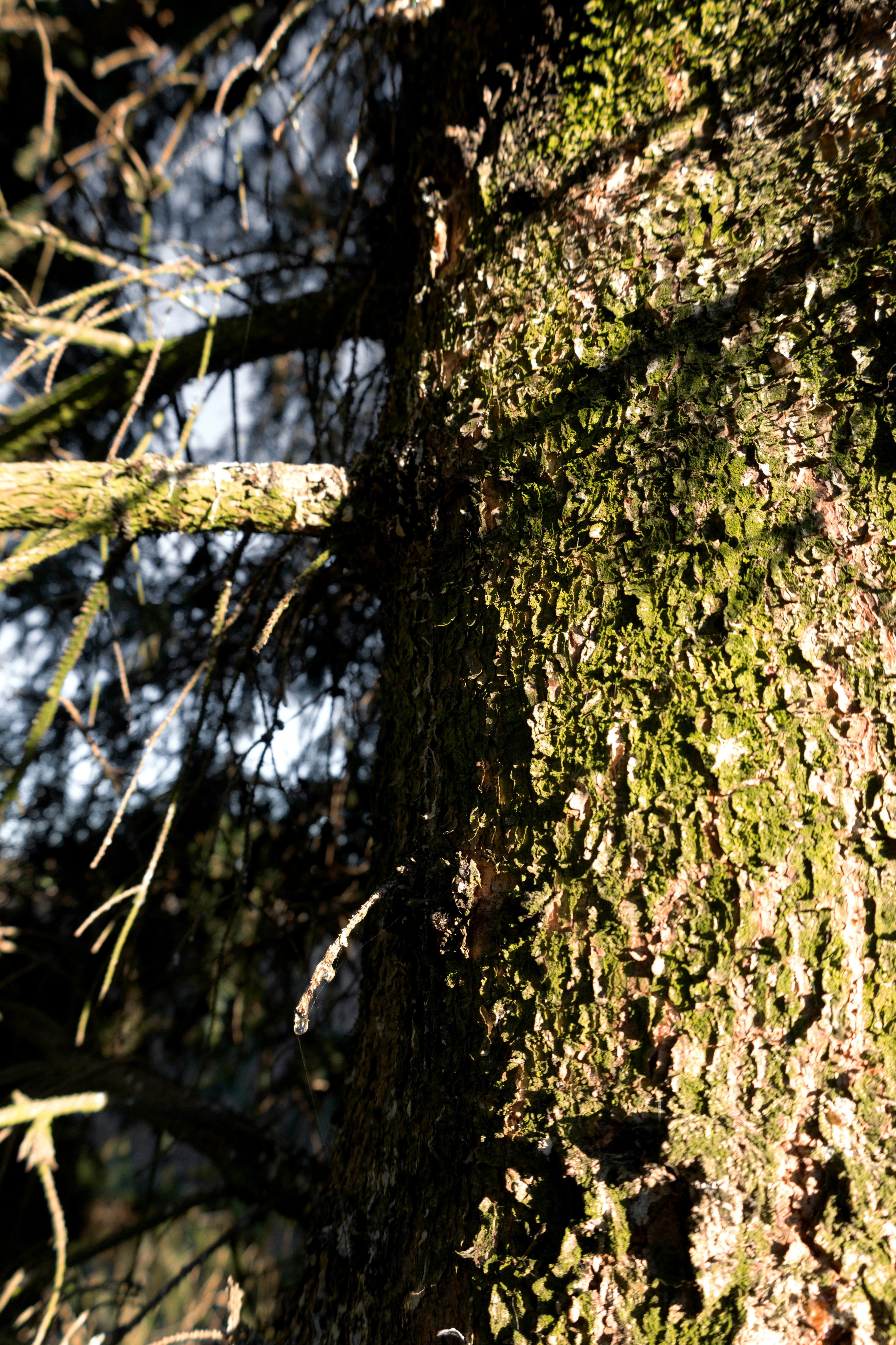 Magda Kmiecik (@mkmiecik) | Unsplashフォトコミュニティ