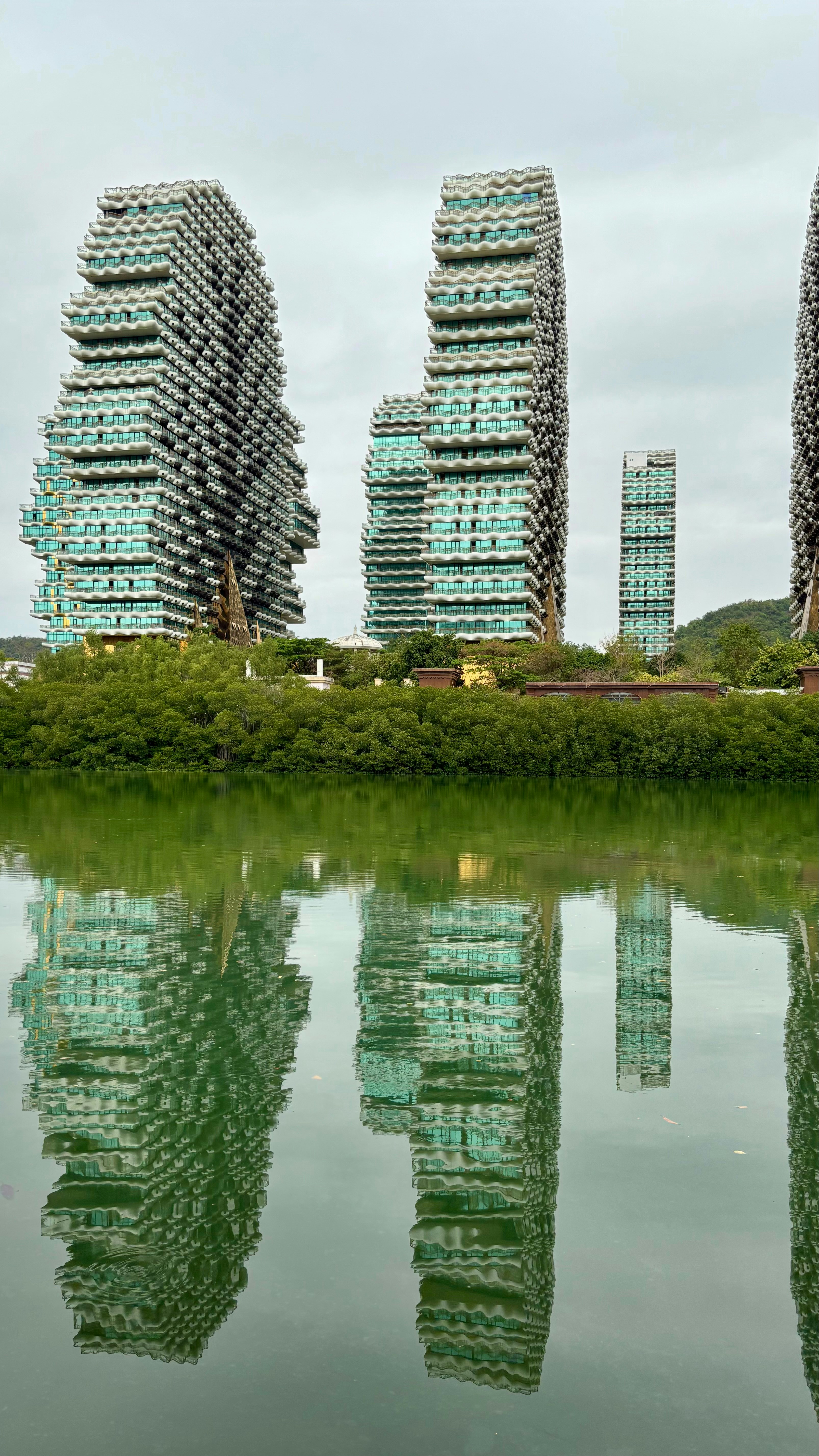 Reflections of Modernity: A Symphony of Glass and Nature