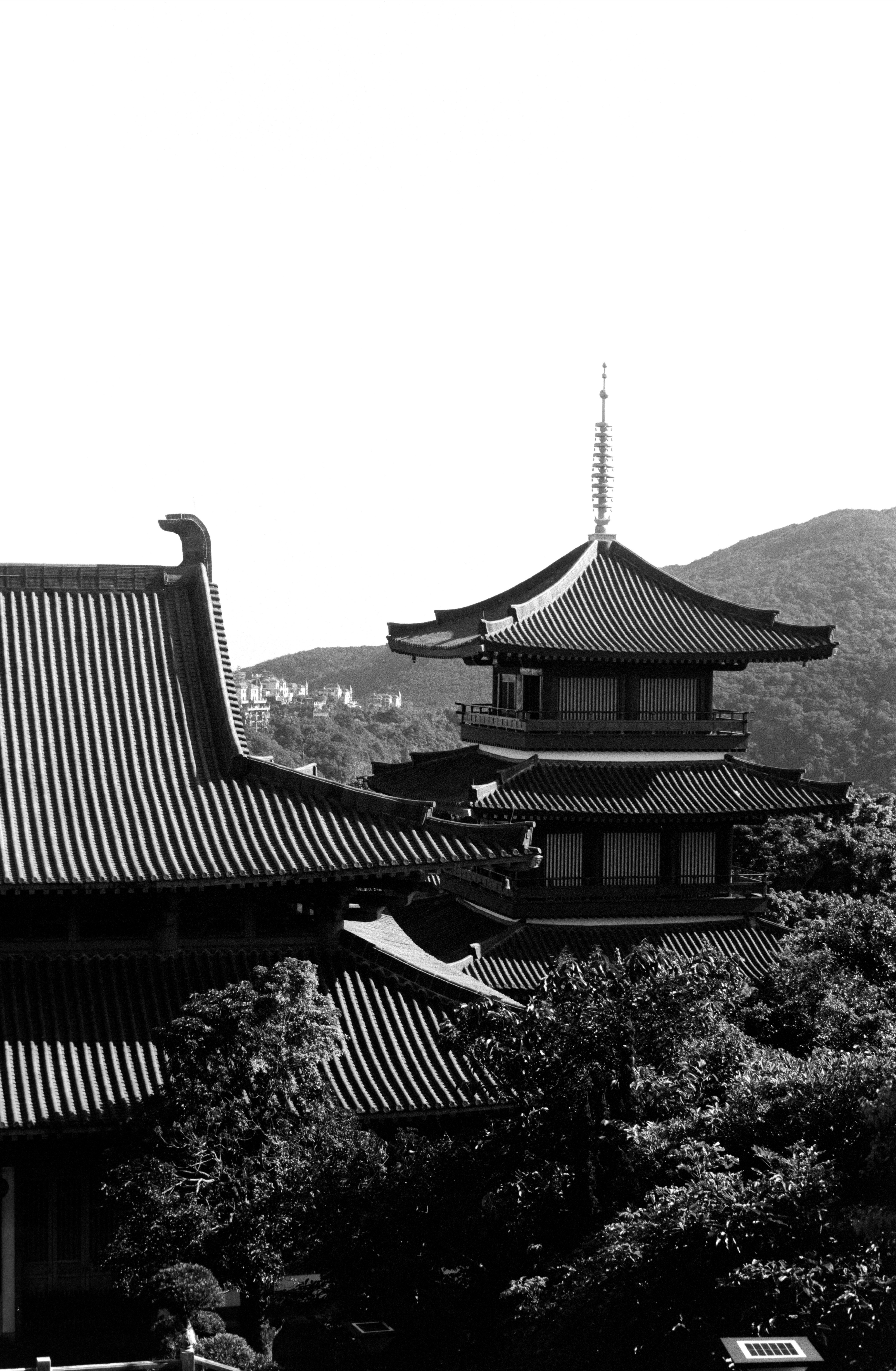 Photo by Kyle Yen with Nikon Z 7II