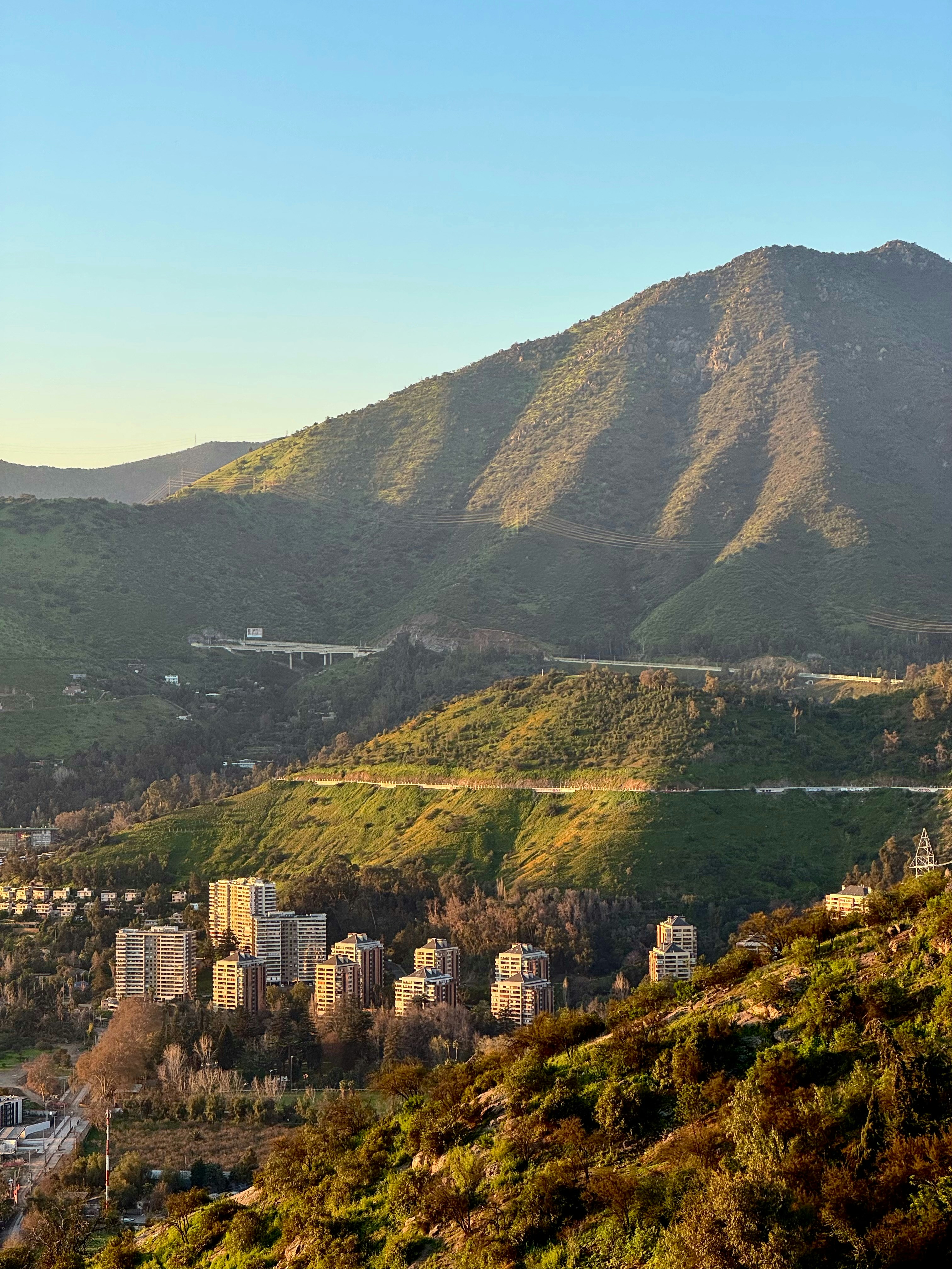 Urban Oasis: The Harmony of Nature and Architecture