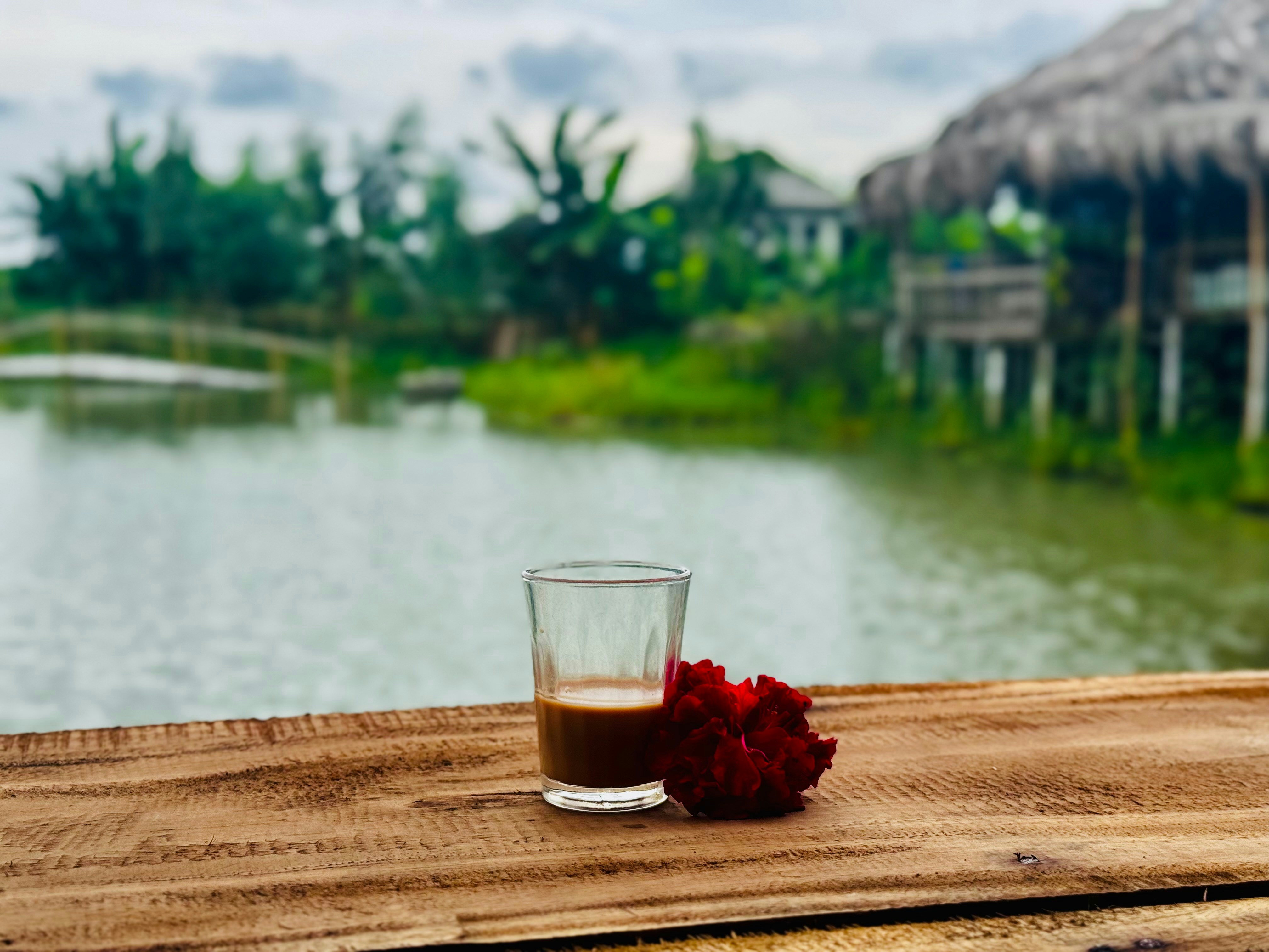 Serenity by the Water's Edge