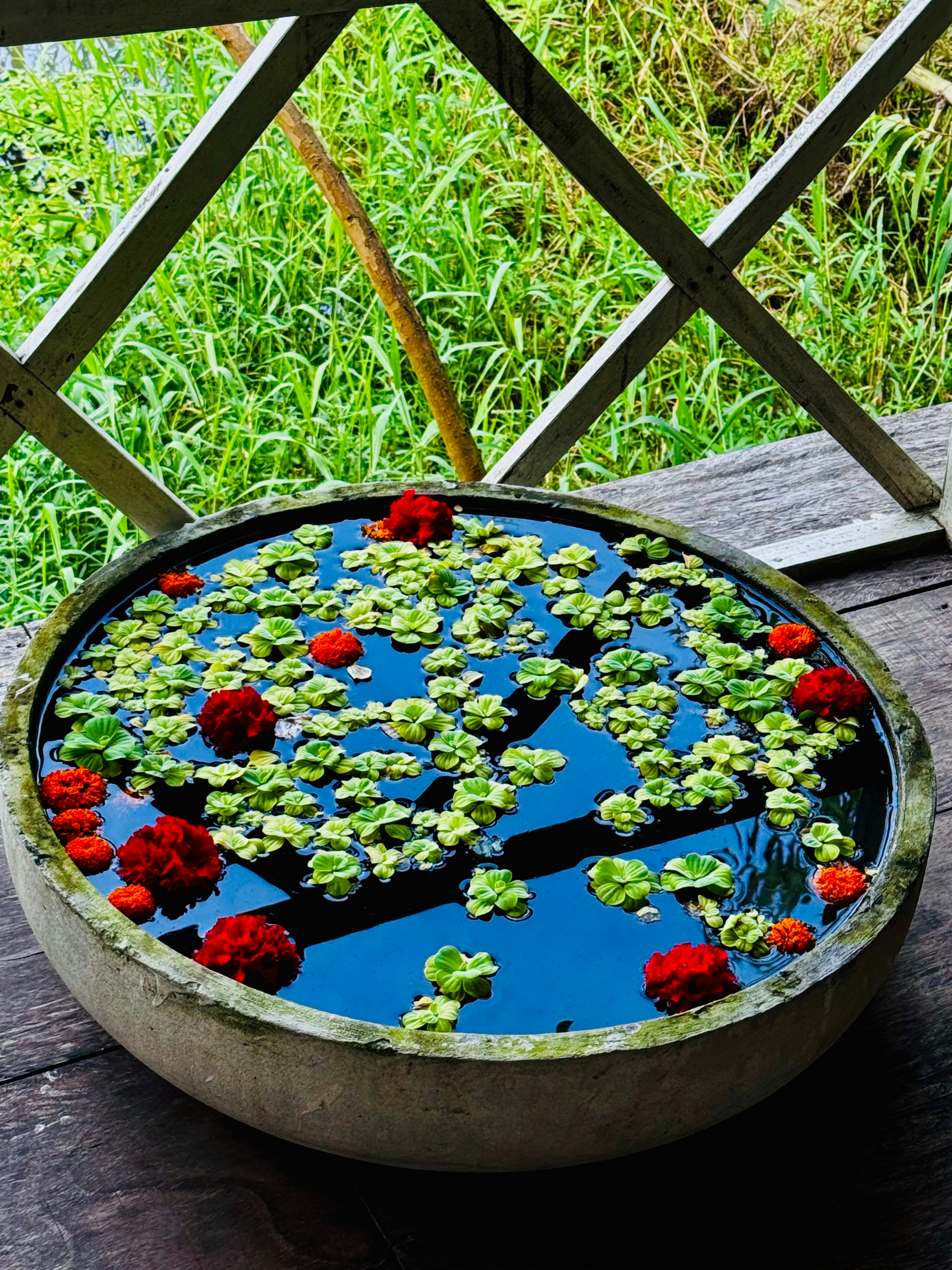 Serene Reflections: A Floral Oasis