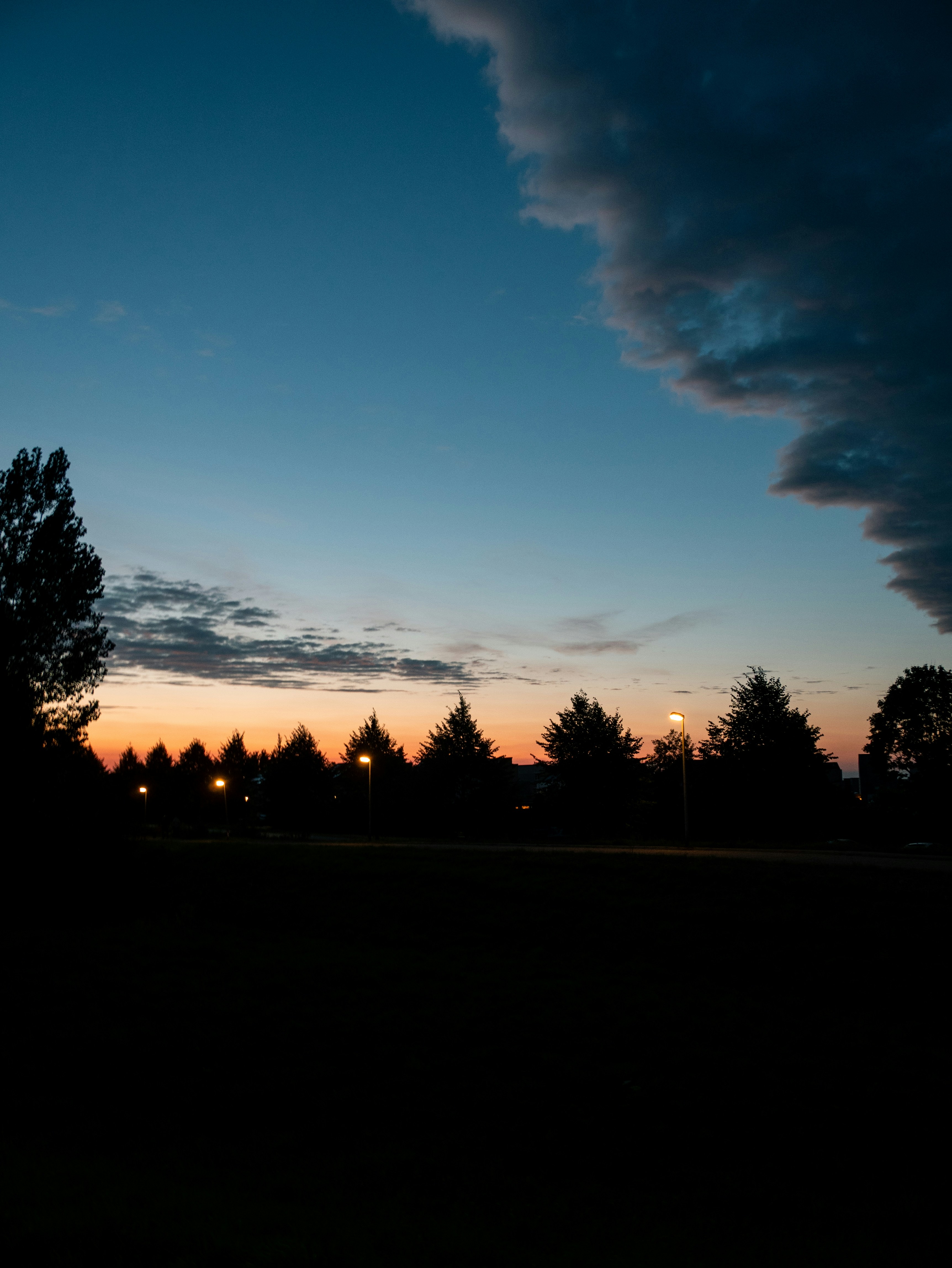 Twilight's Embrace: A Dance of Light and Shadow