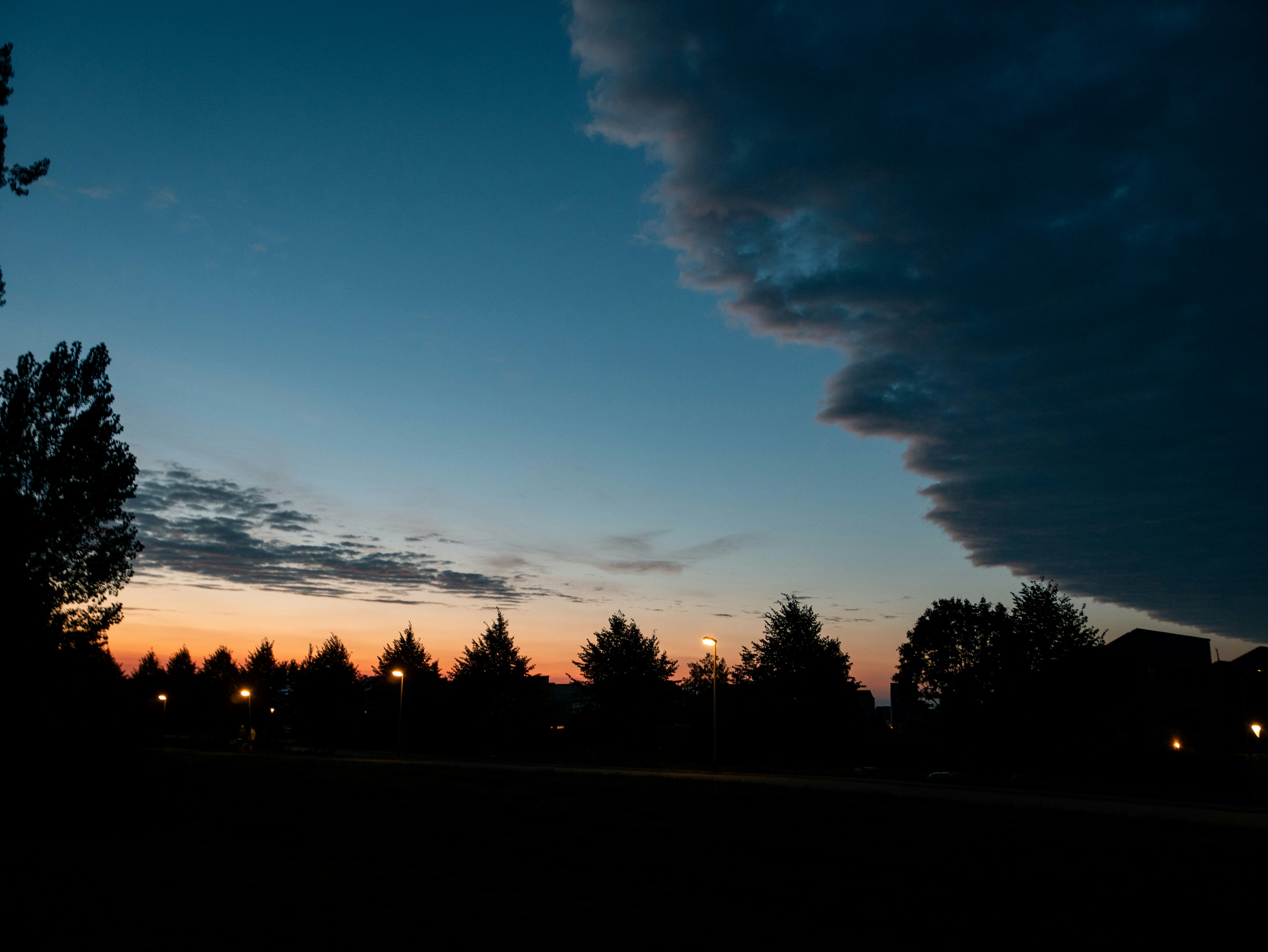 Twilight's Embrace: A Dance of Light and Shadow