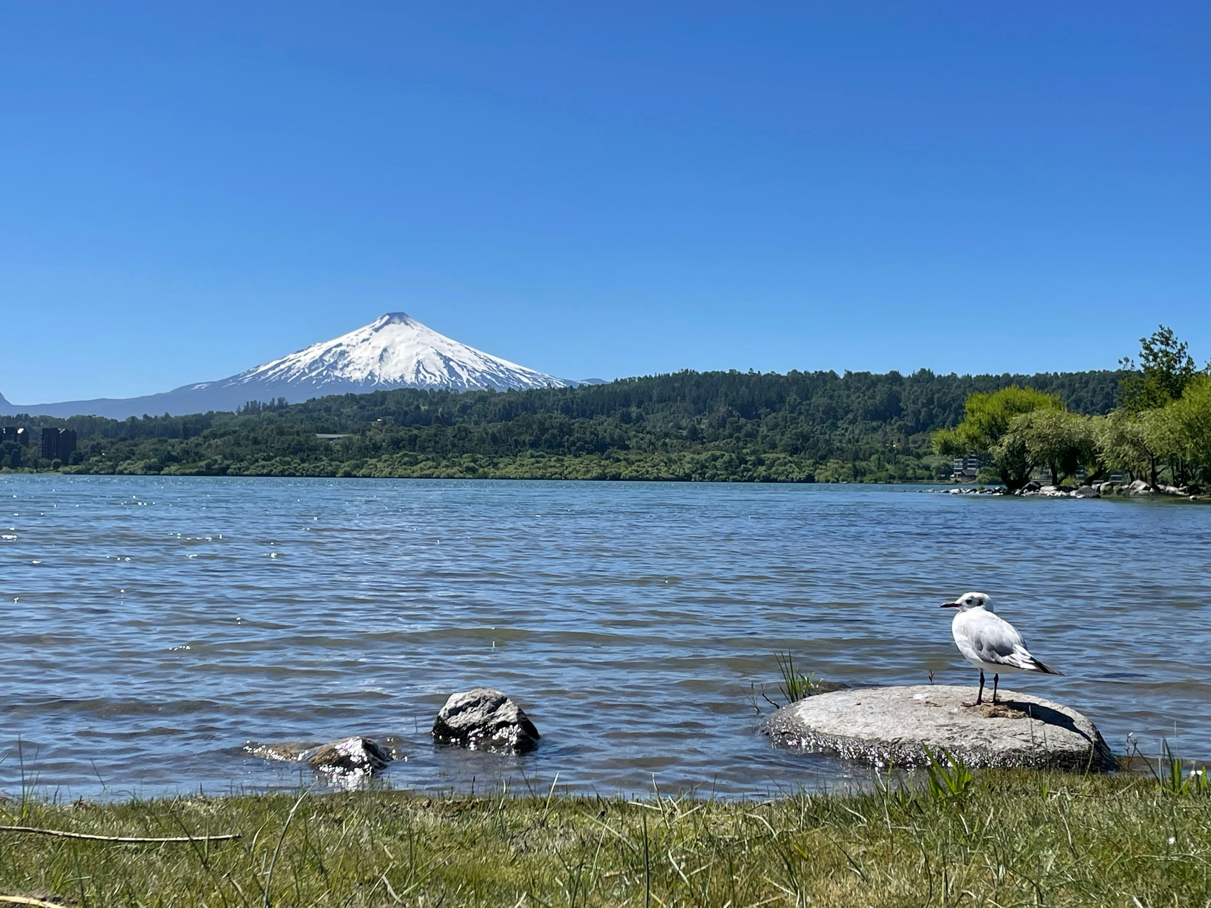 Serenity at the Water's Edge
