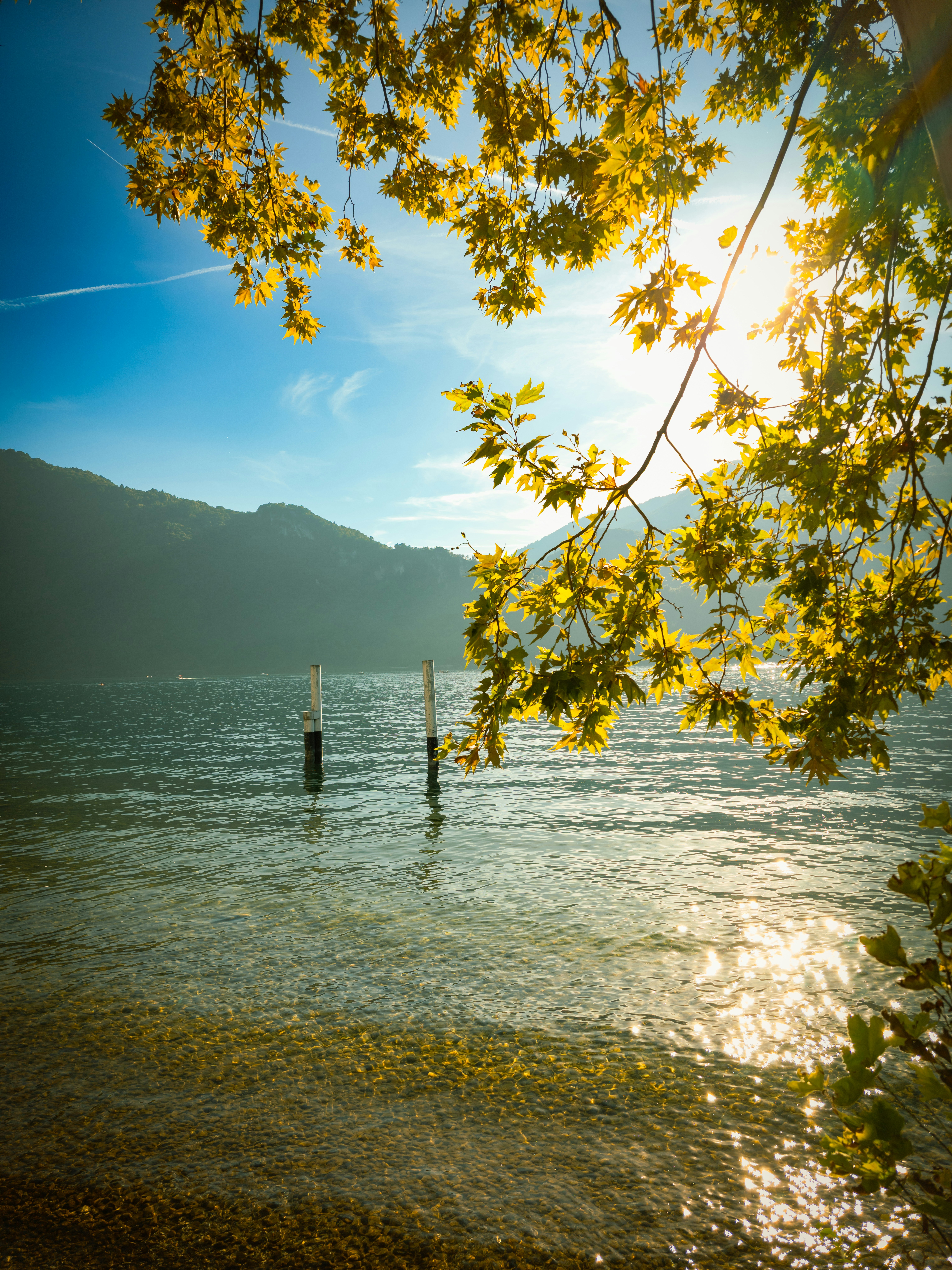 Whispers of Nature: A Serene Lakeside Encounter