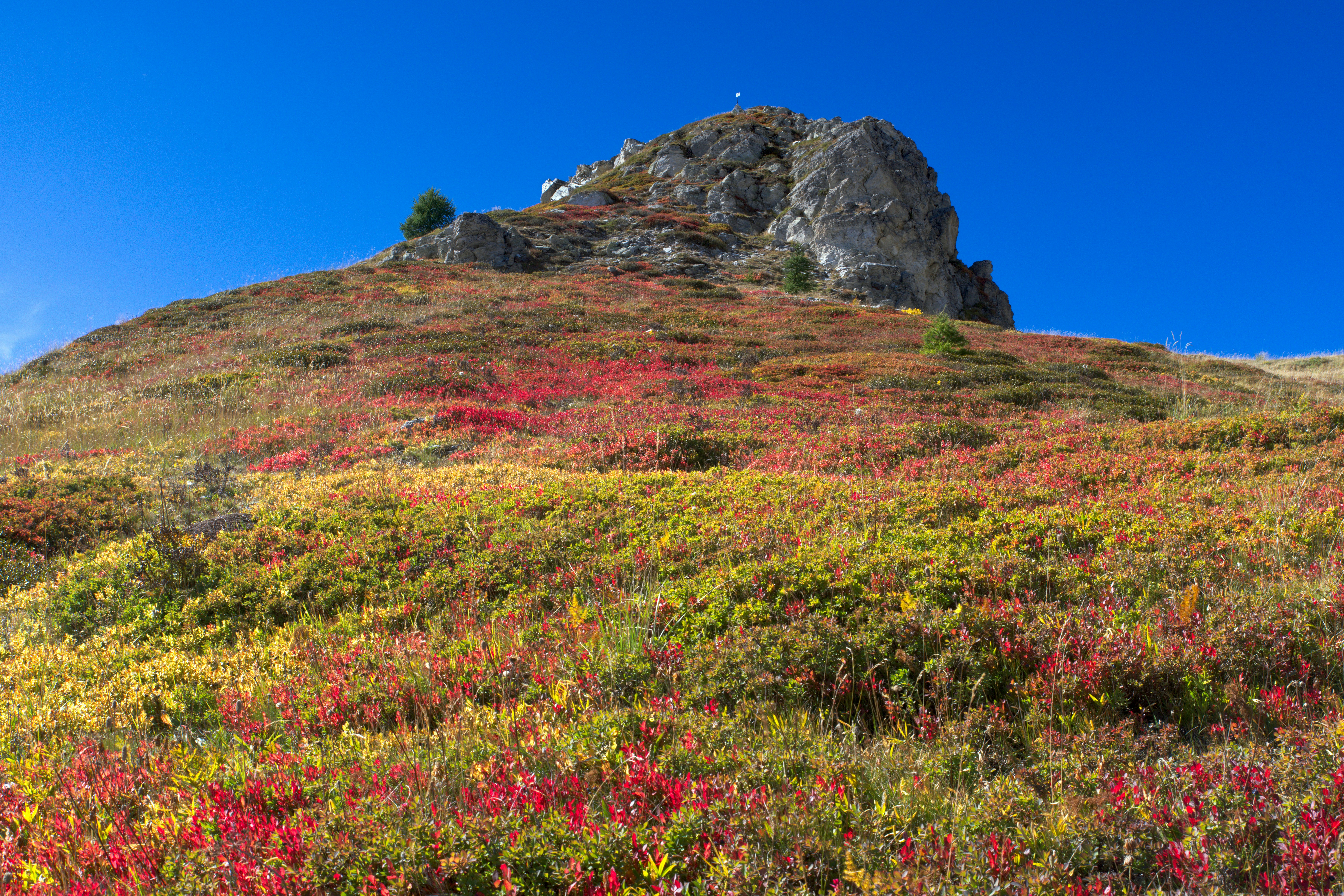 The blueberry field turns red in autumn. | Rocky peak with colorful autumn foliage under blue sky