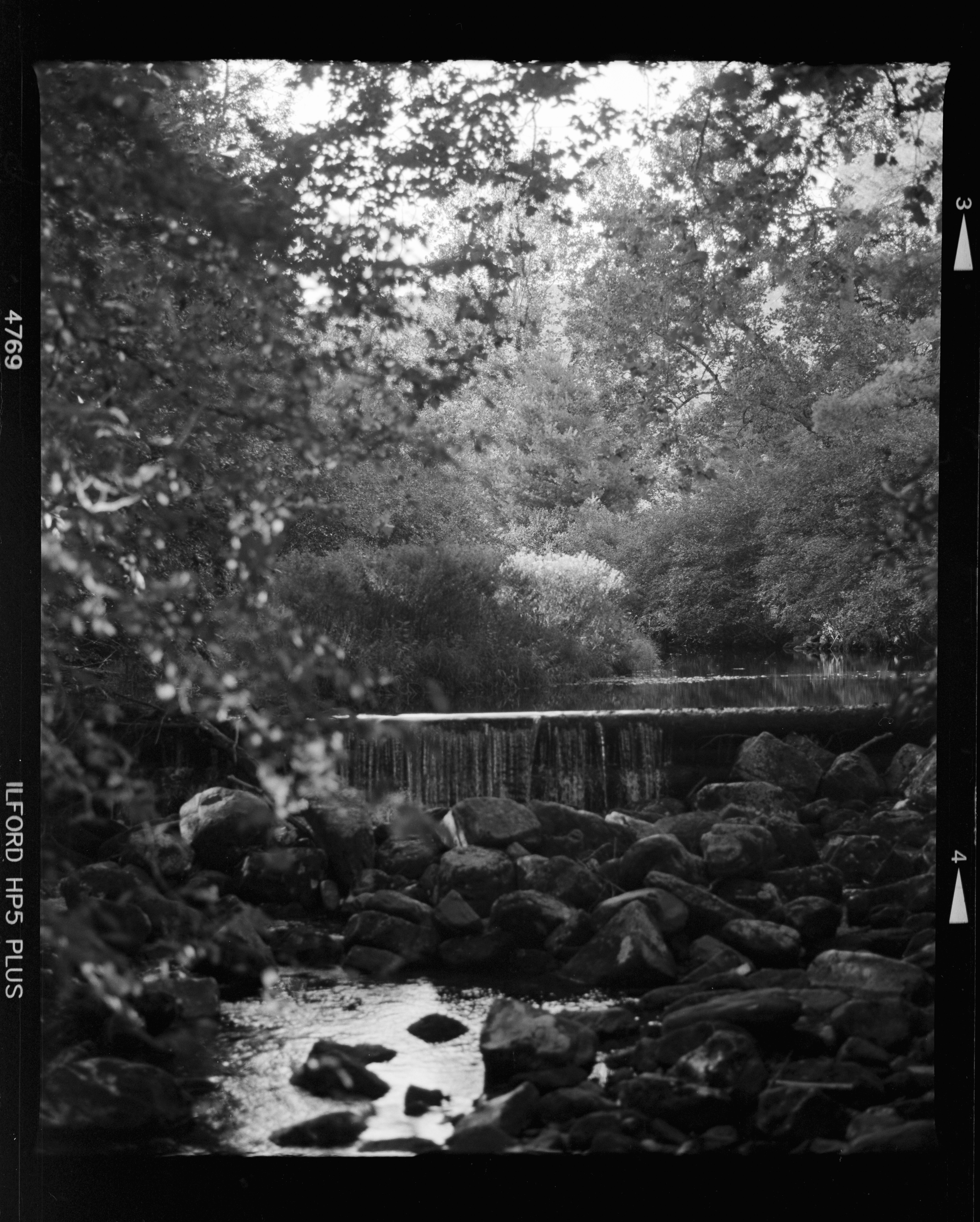 Rocky stream flows past a small waterfall in woods