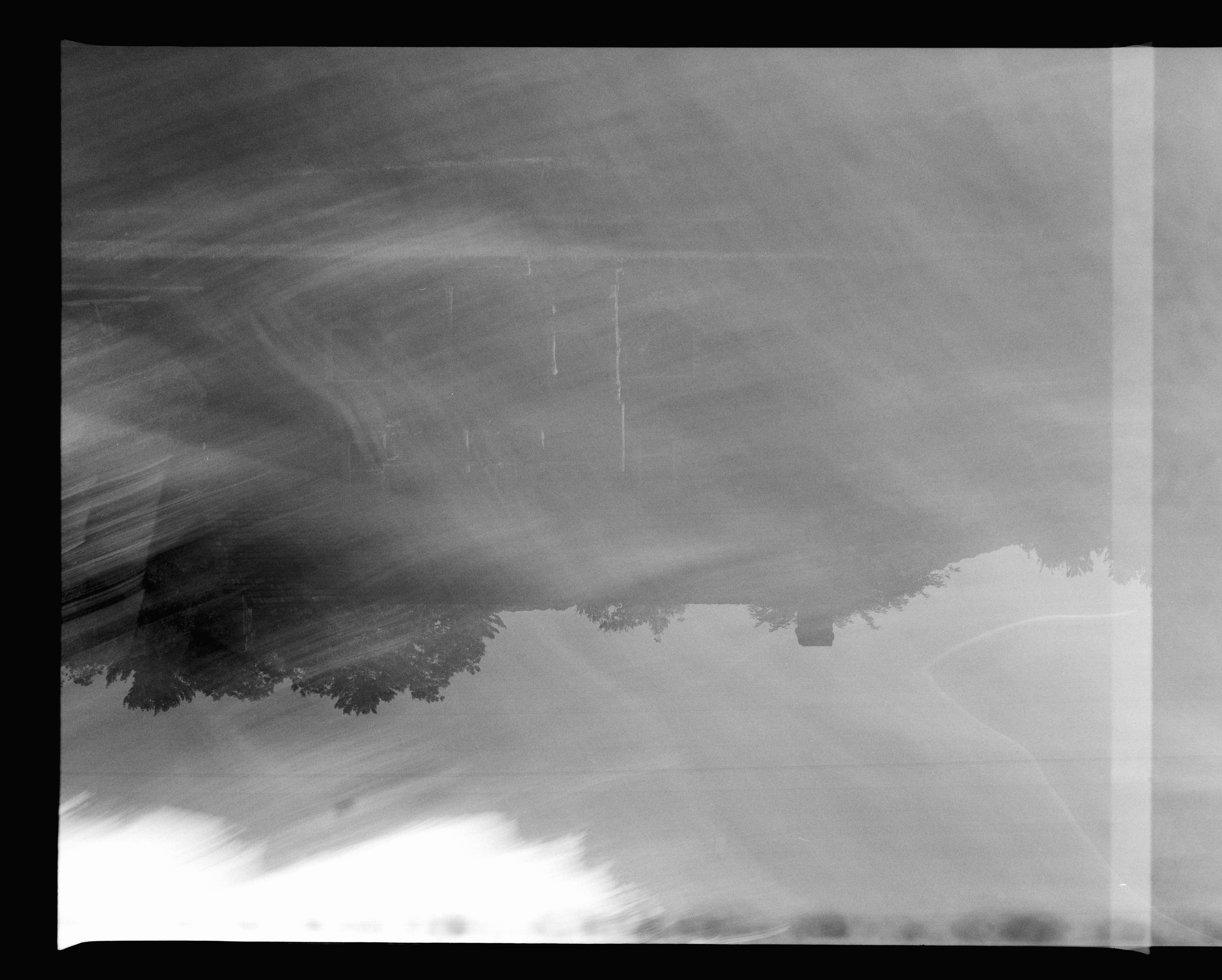 Abstract grayscale sky with wispy clouds and dark trees