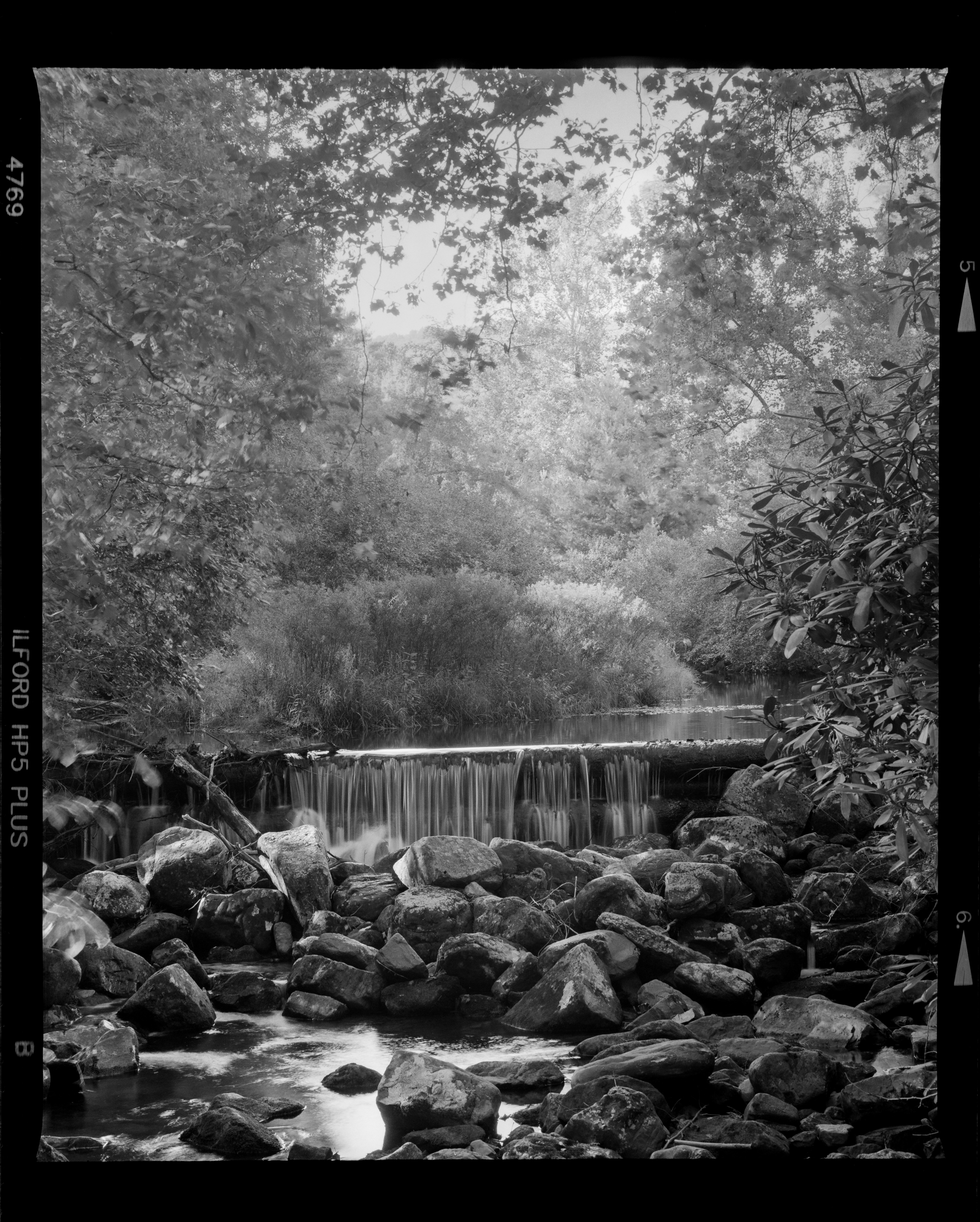 Whispers of Water: A Serene Cascade