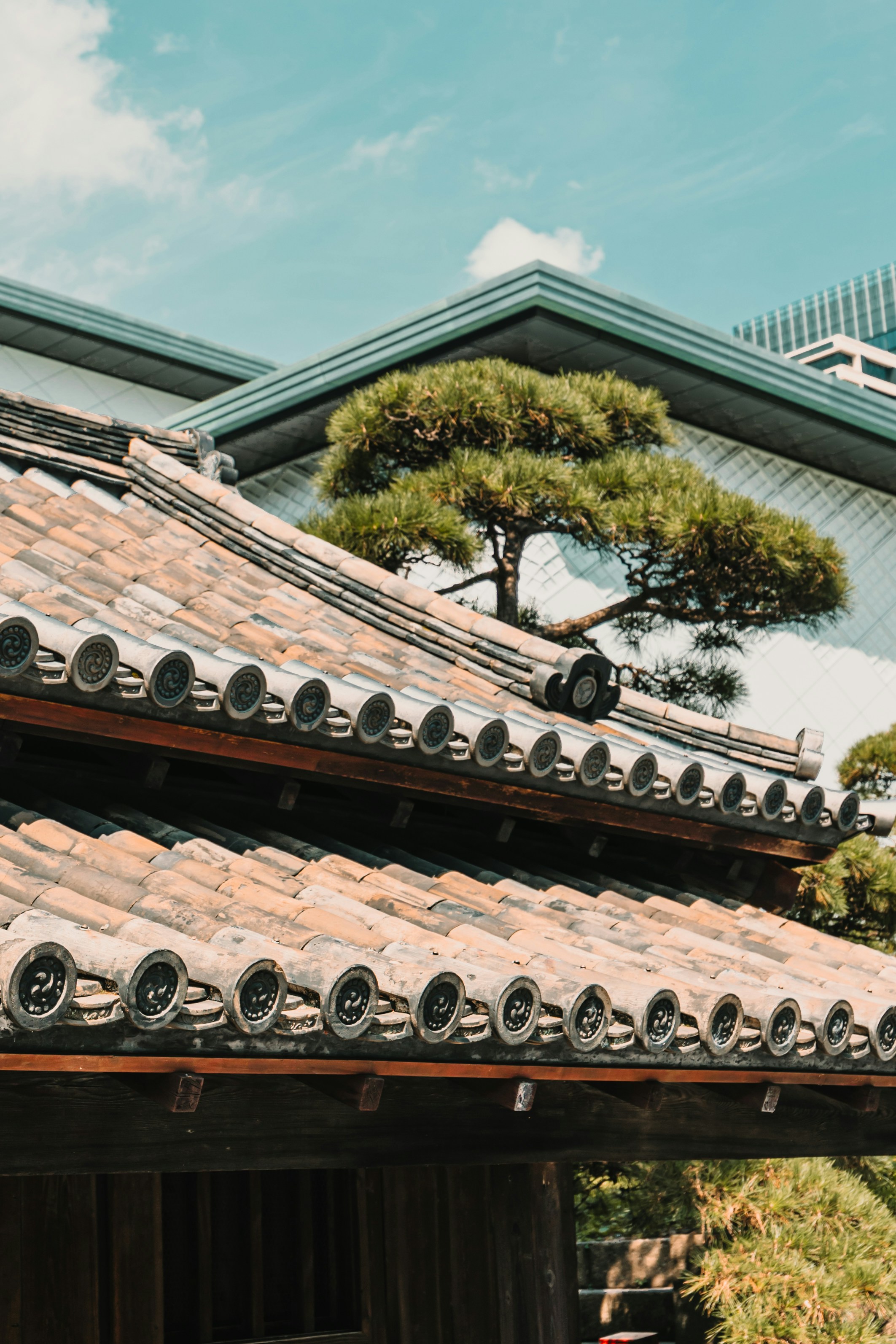 Rhythm of Round Tiles: A Traditional Roof Framed by Pine and Sky